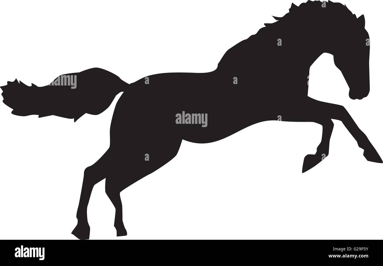 Wild horse jumping bronco Stock Vector Image & Art - Alamy