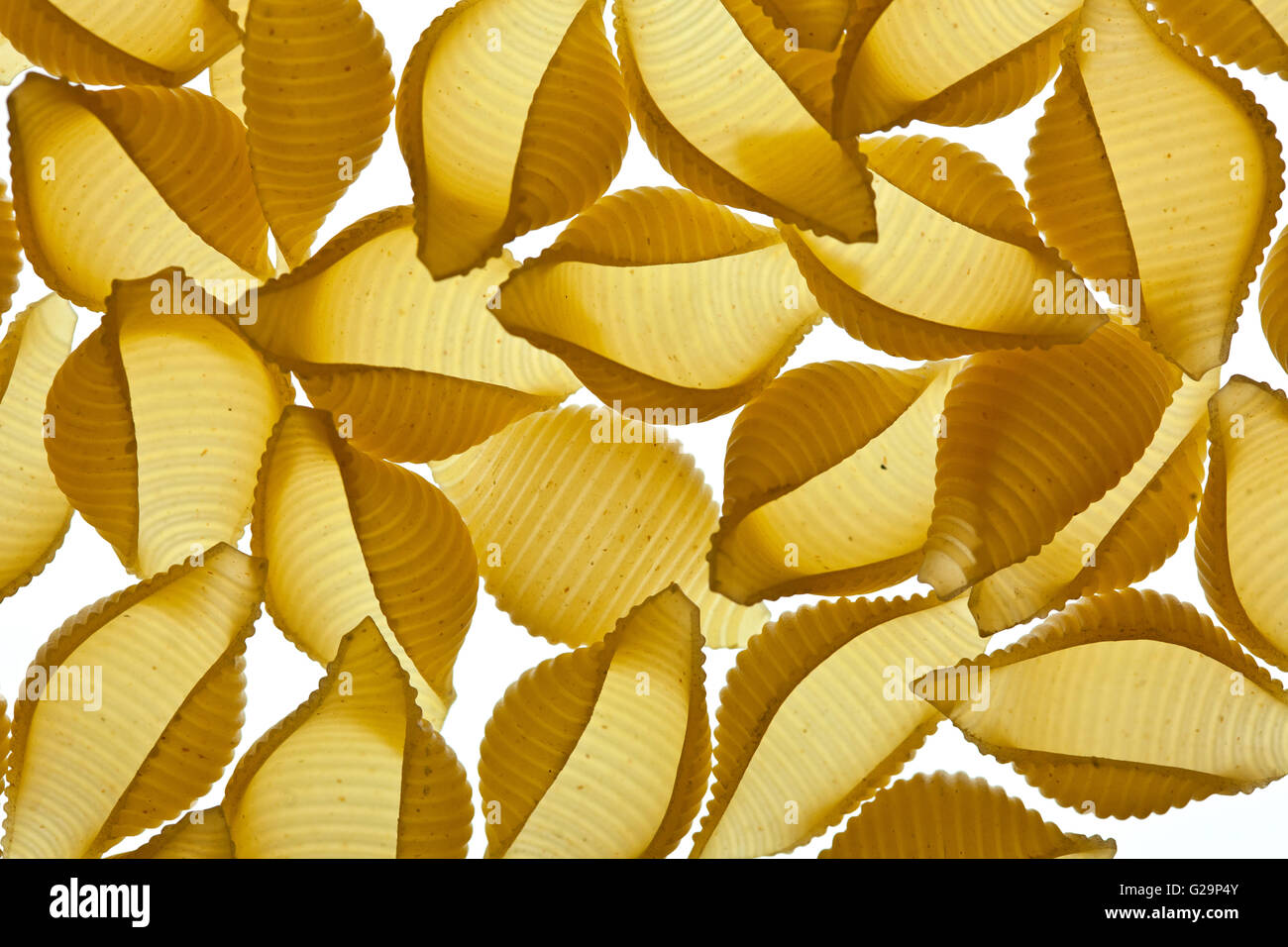 Uncooked conchiglie pasta on hi-res stock photography and images - Alamy