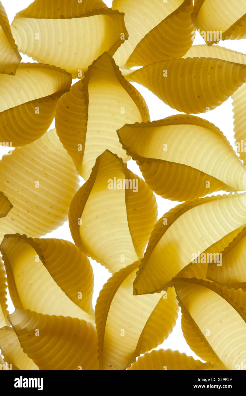 Conchiglie raw hi-res stock photography and images - Alamy