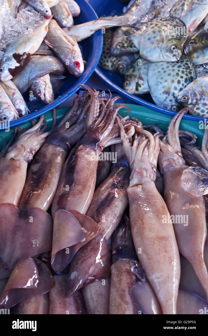 Surat food hi-res stock photography and images - Alamy