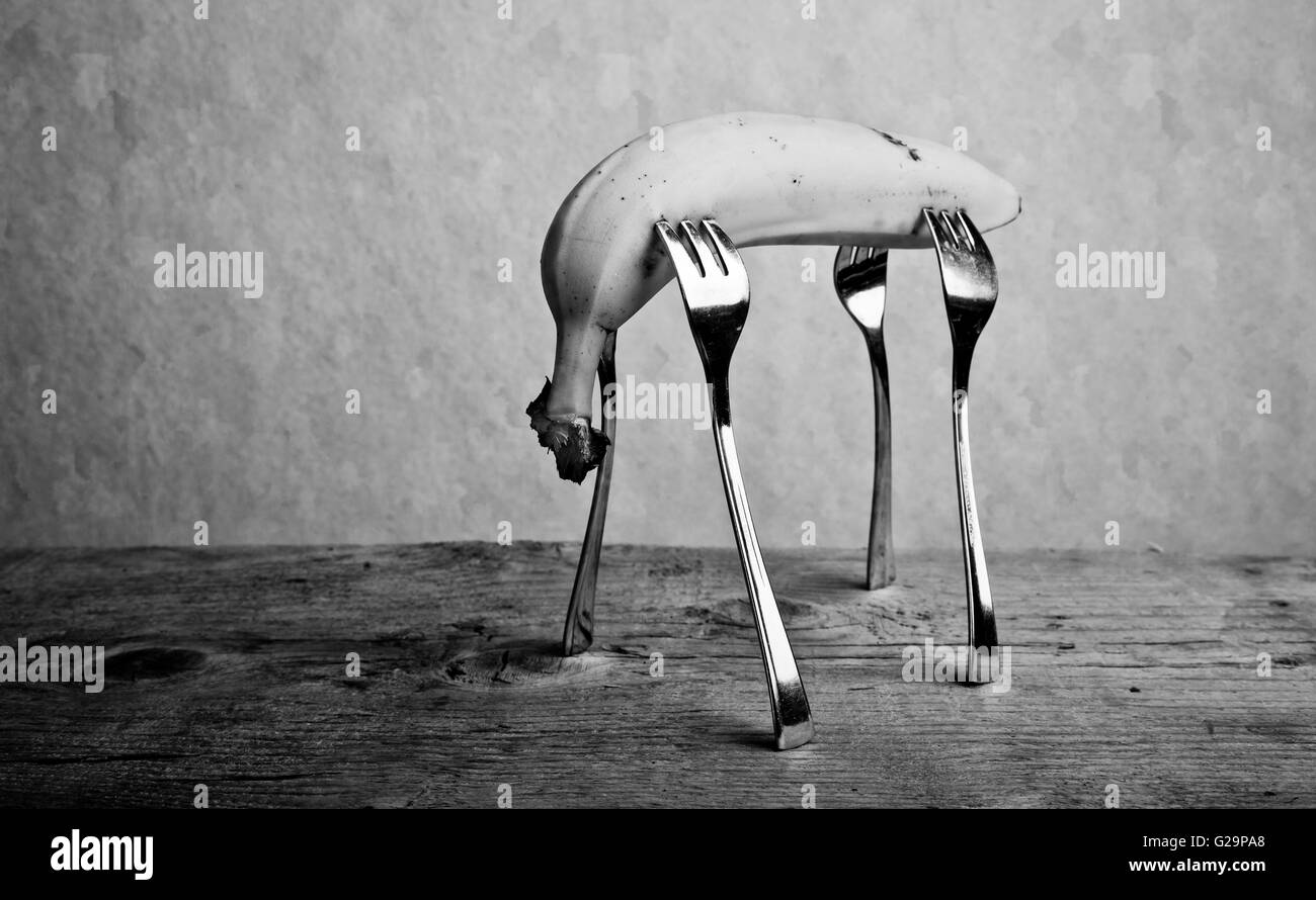 Conceptual still life Black and White Stock Photos & Images - Alamy