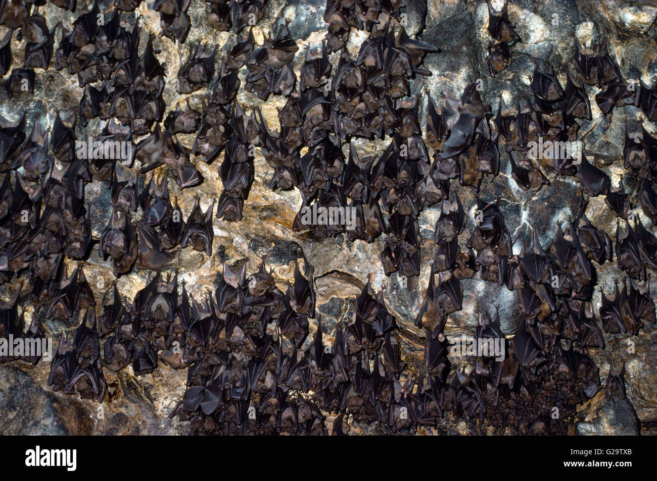 Bali Indonesia Goa Lawah Temple Bat Cave Stock Photo - Alamy