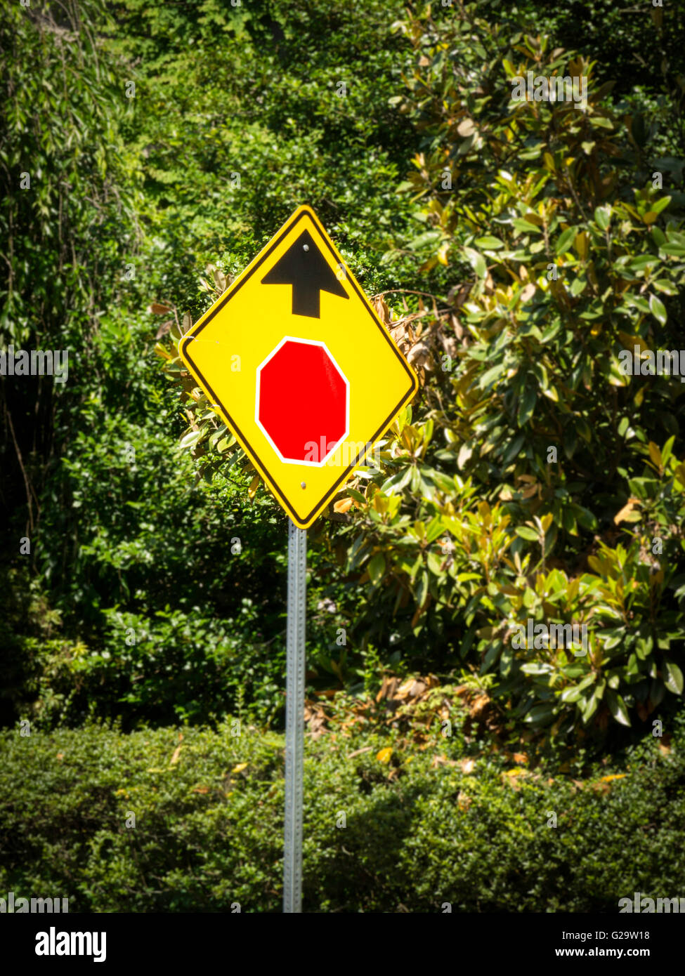 Stop sign ahead usa yellow warning hi-res stock photography and images ...