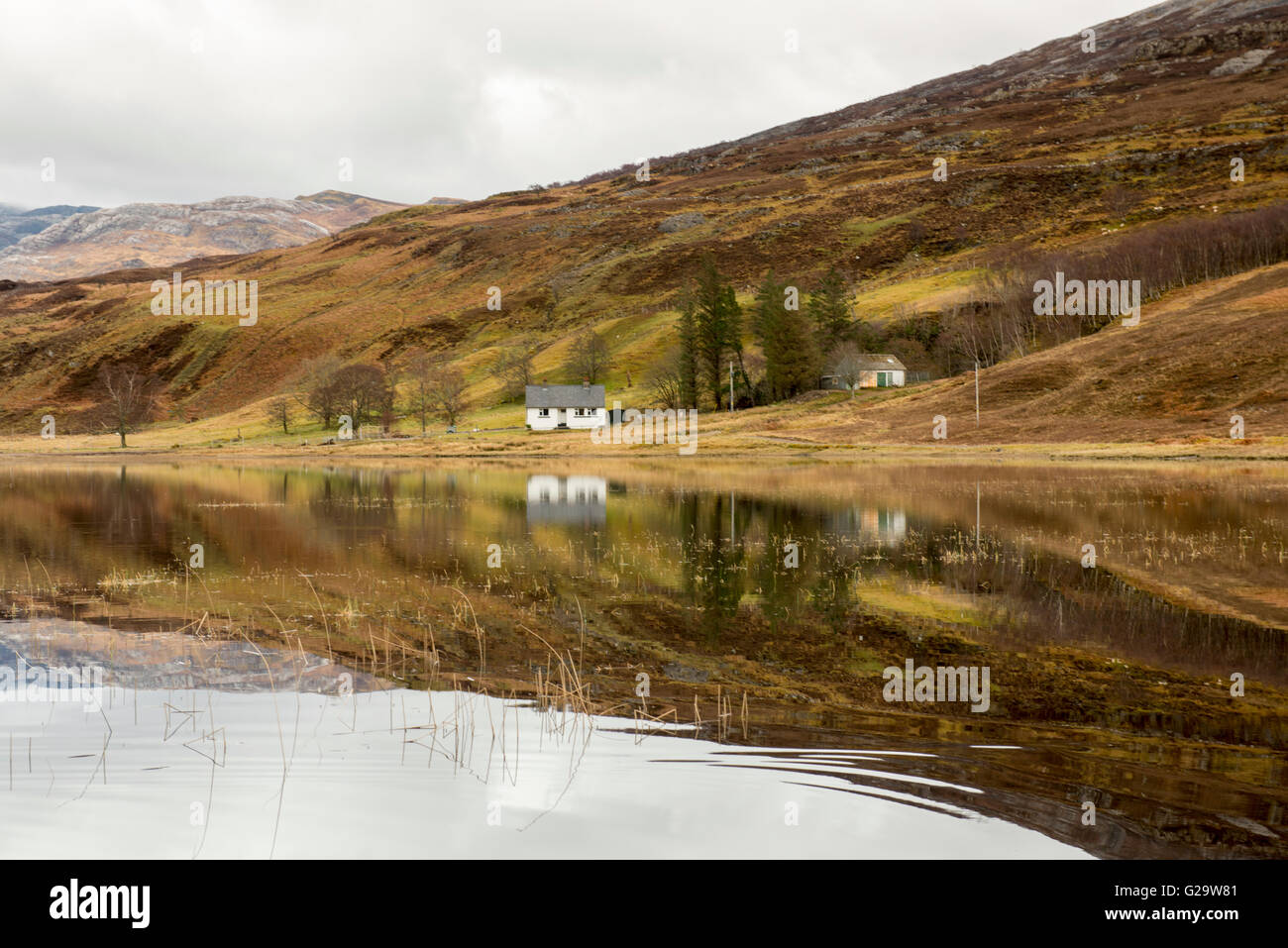 Mirror calm reflections on Loch Damh on the Lochcarron Estate in Wester ...