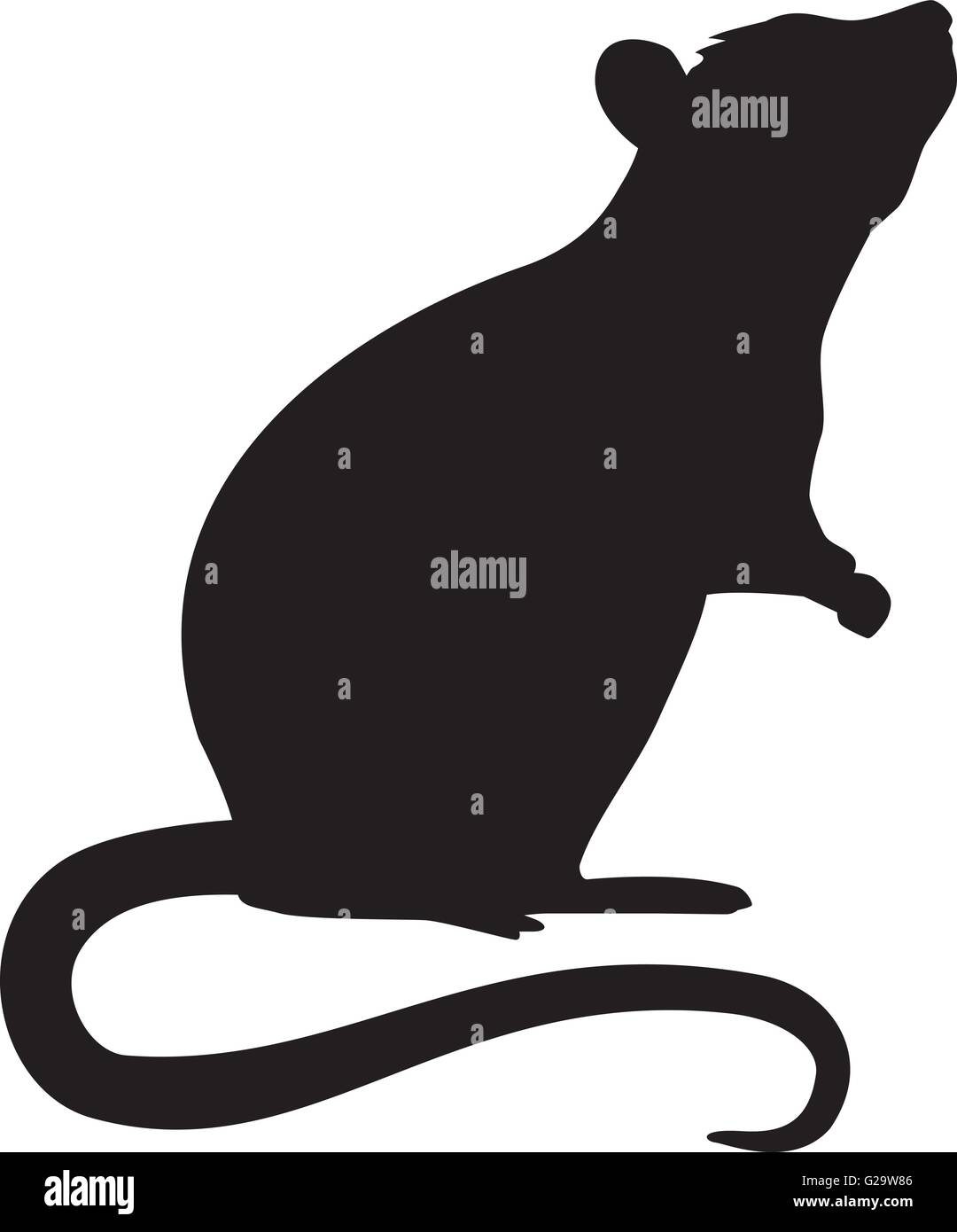 Standing Rat silhouette Stock Vector Image & Art - Alamy