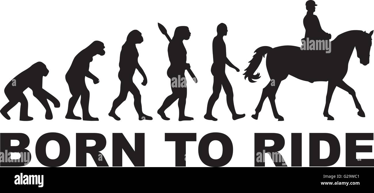 Evolution of the horse vector hi-res stock photography and images - Alamy