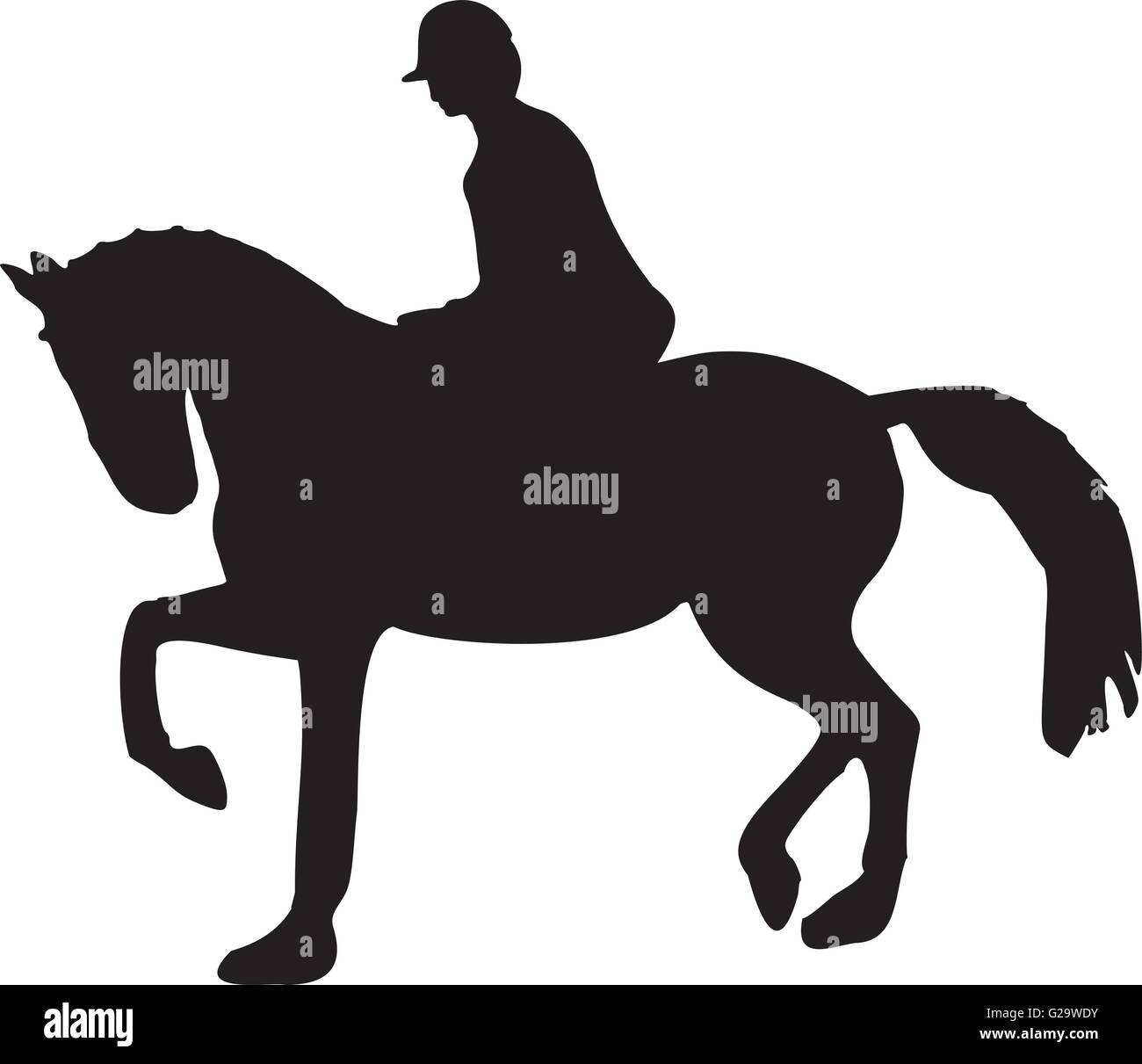 Horse Rider silhouette Stock Vector Image & Art - Alamy