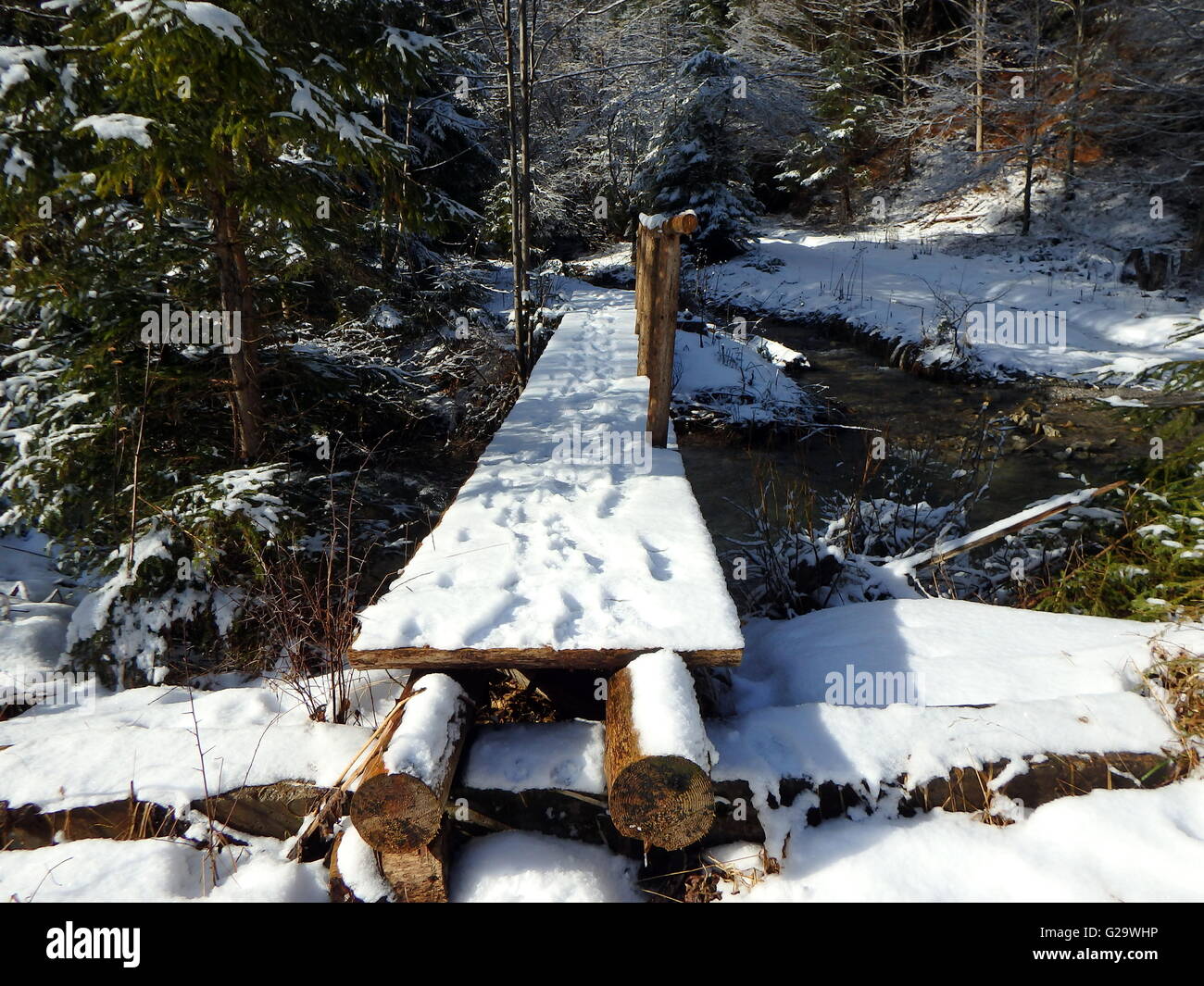 Wooden Bench over the brook in the woods, small wooden bridge at winter ...