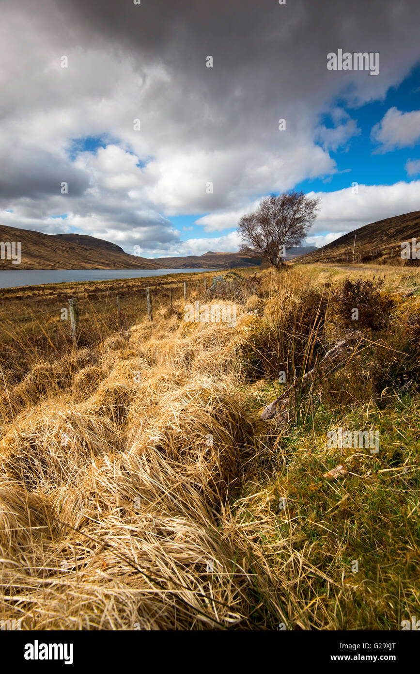 Loch Shin Scotland High Resolution Stock Photography and Images - Alamy