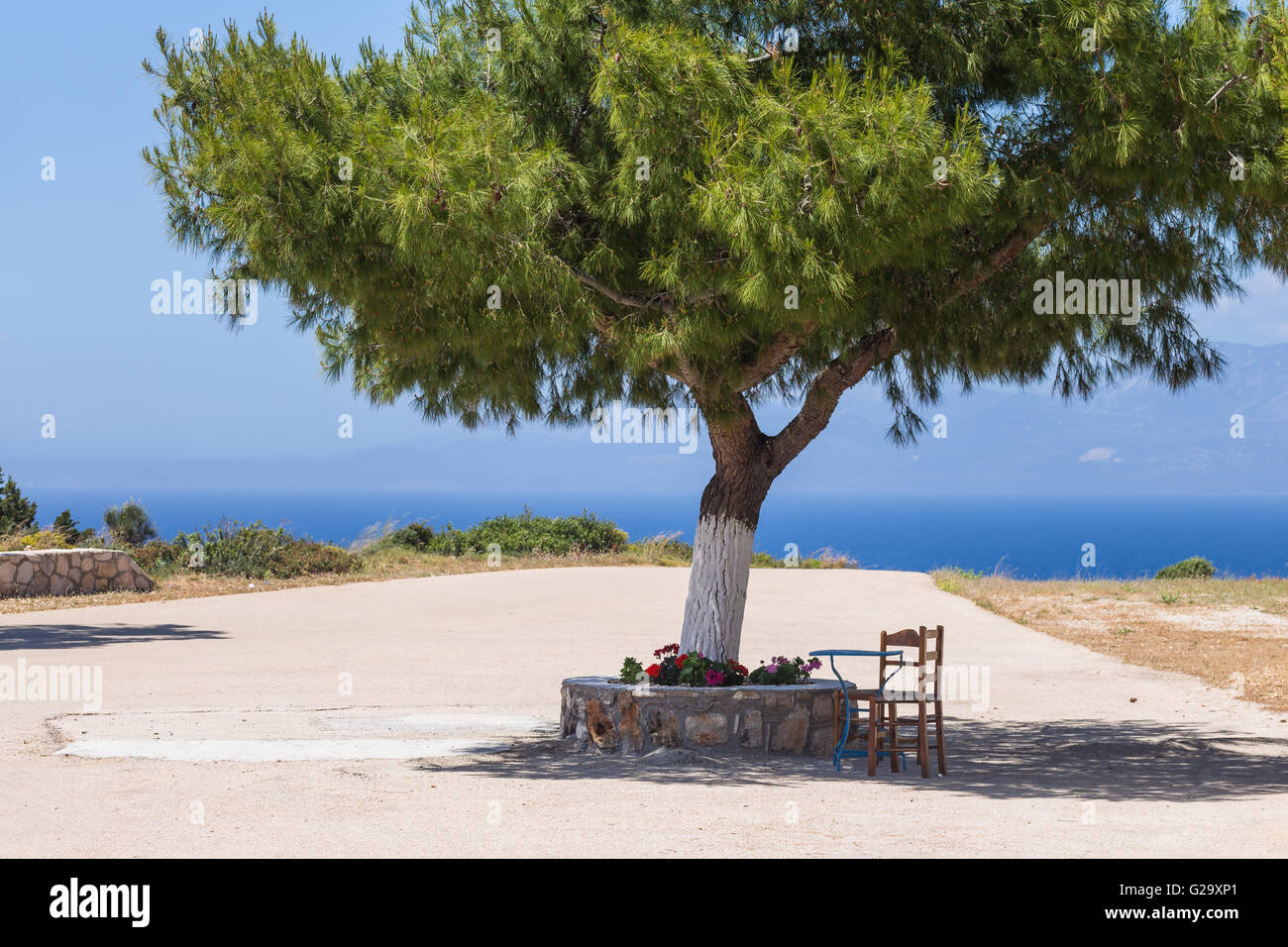 Sitting under the tree with view Stock Photo - Alamy