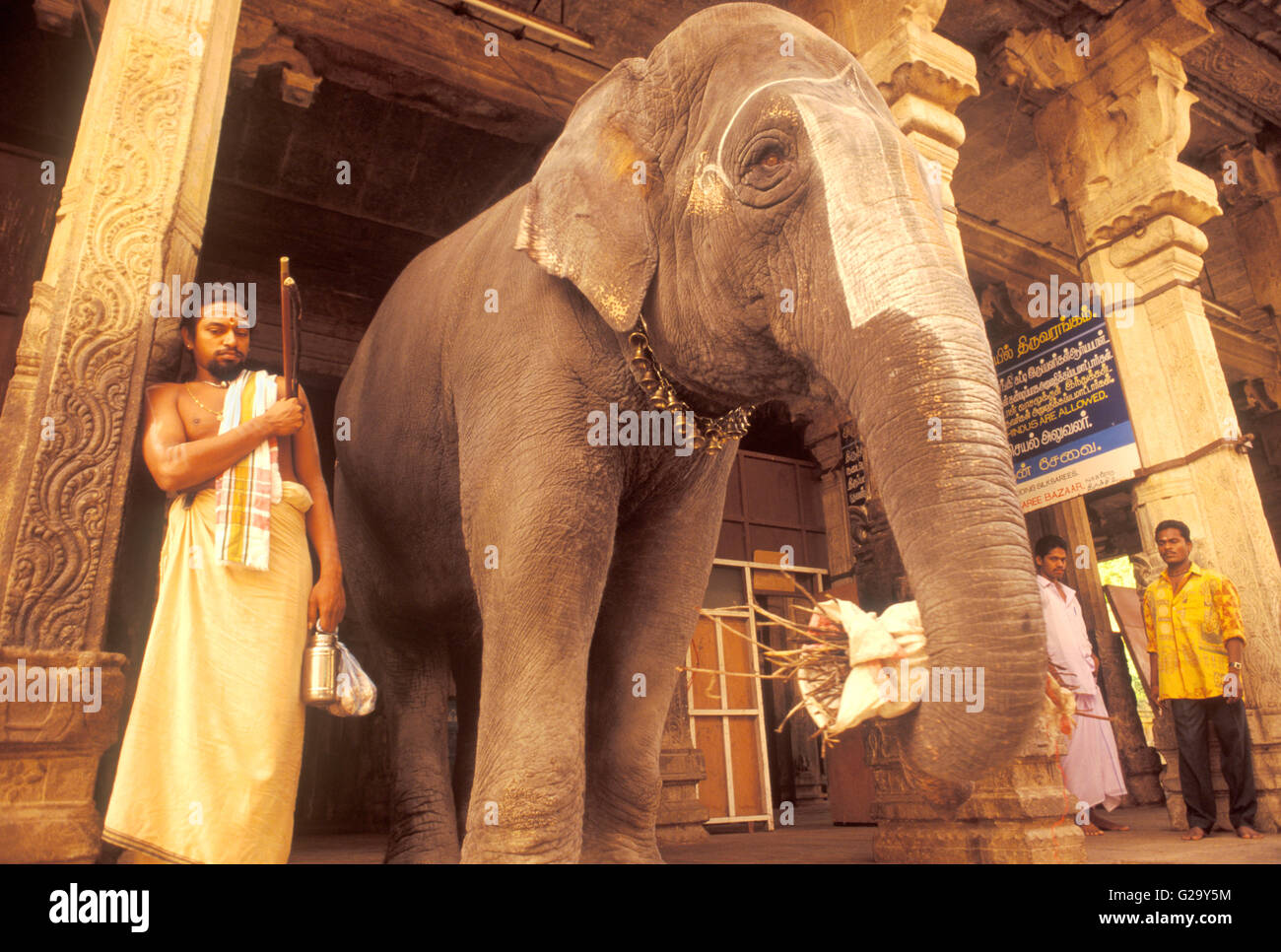Srirangam hi-res stock photography and images - Alamy