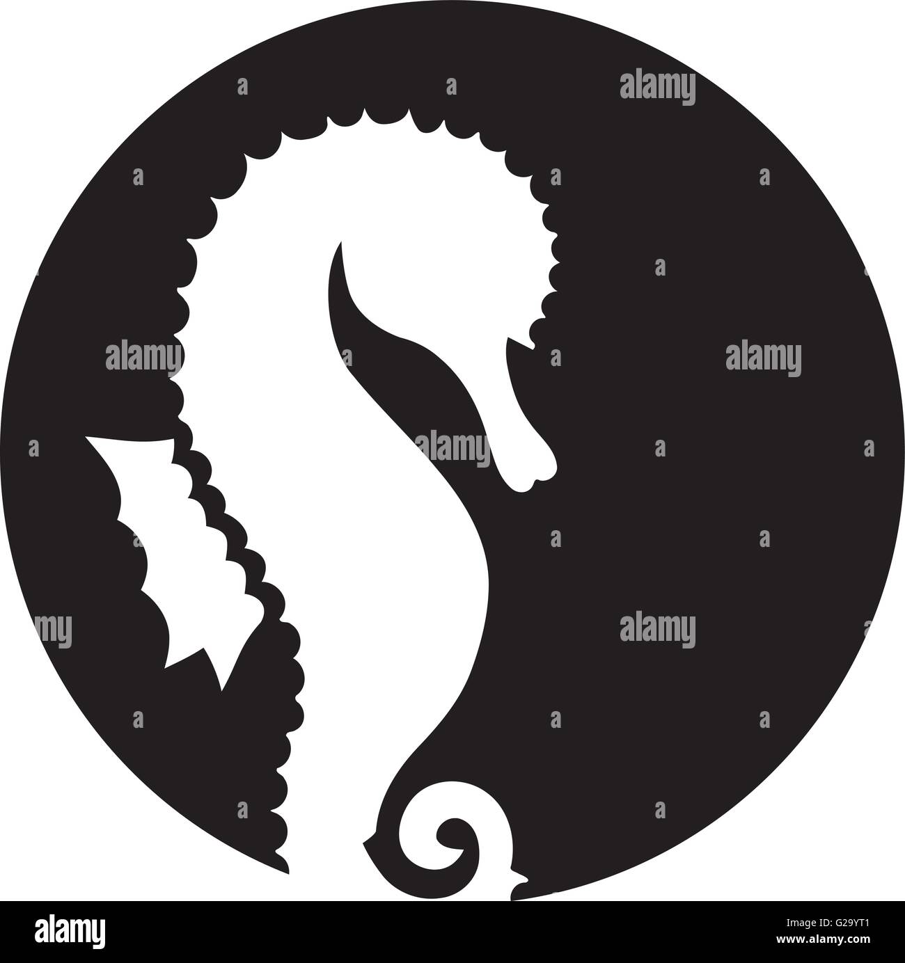Seahorse in aquarium aquatic Stock Vector Images - Alamy