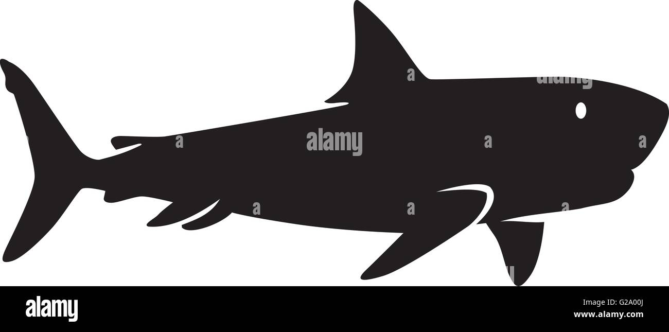 Shark illustration realistic hi-res stock photography and images - Alamy