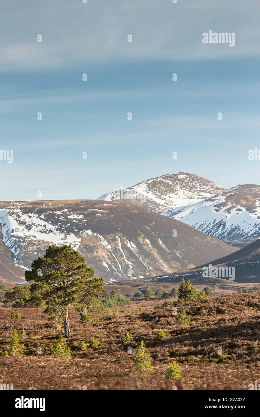 Bynack more hi-res stock photography and images - Alamy