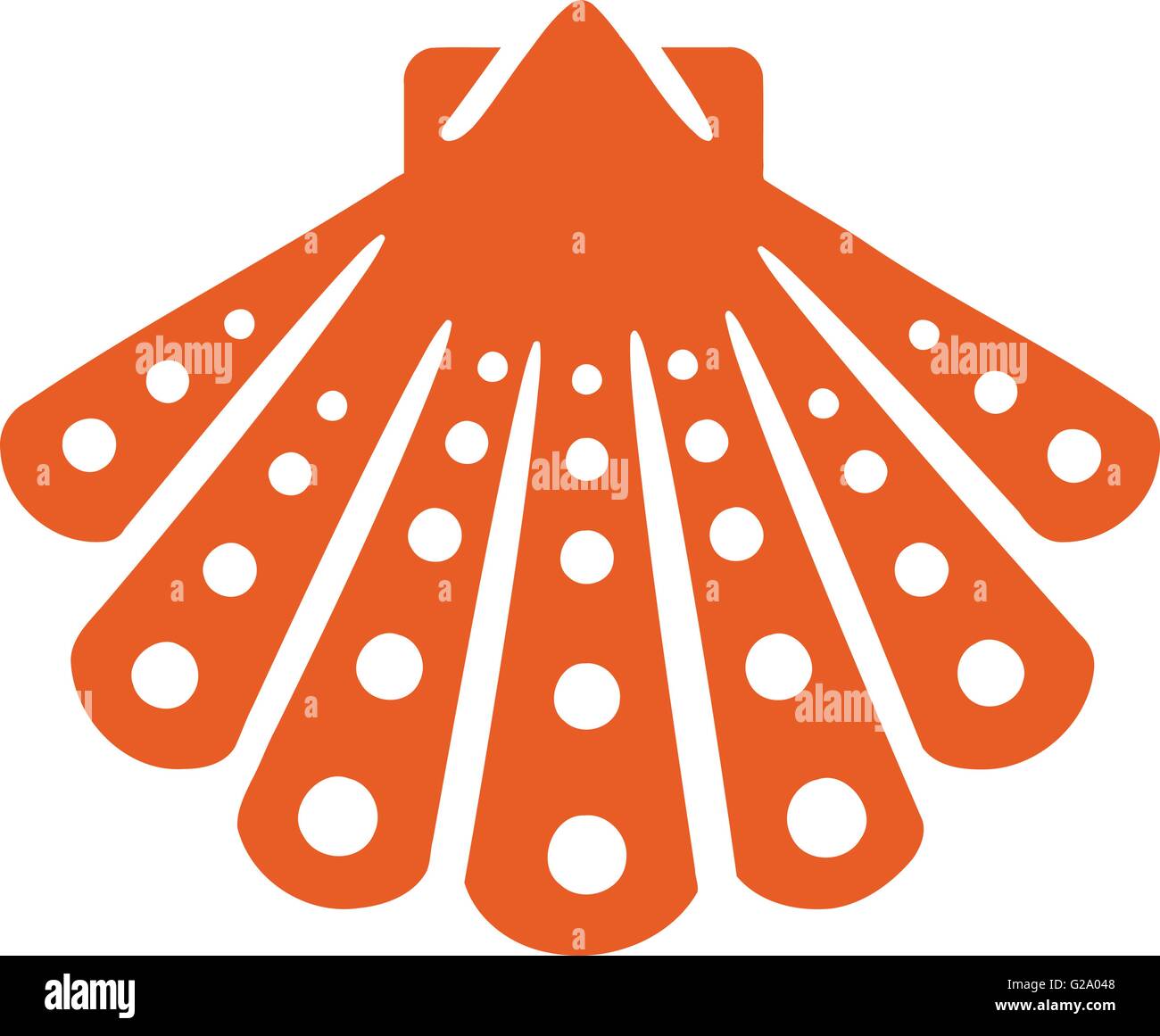 Beautiful shell icon Stock Vector Image & Art - Alamy