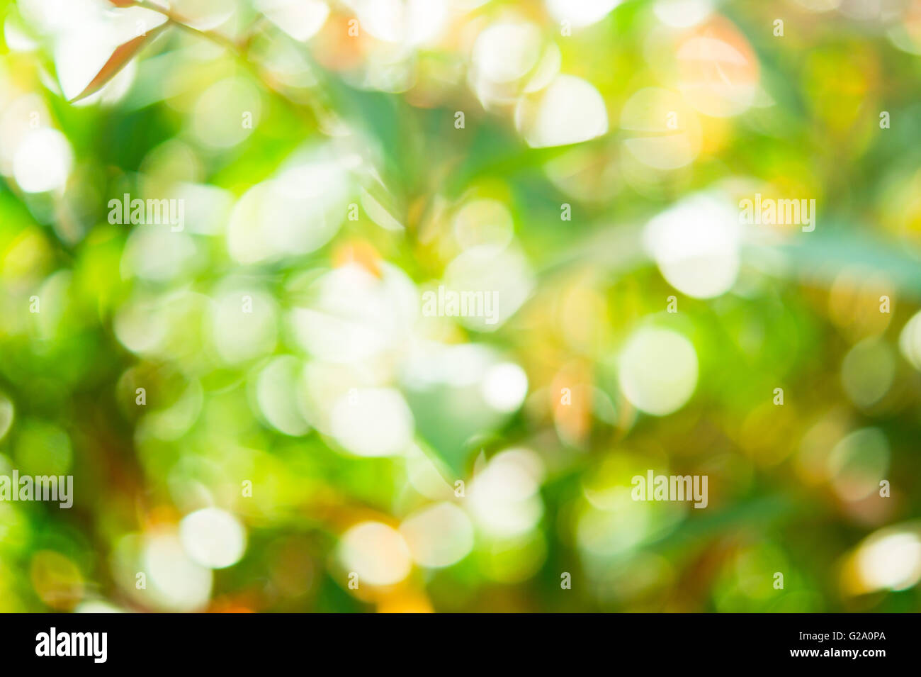 Nature Cycle Bokeh Stock Photo - Alamy