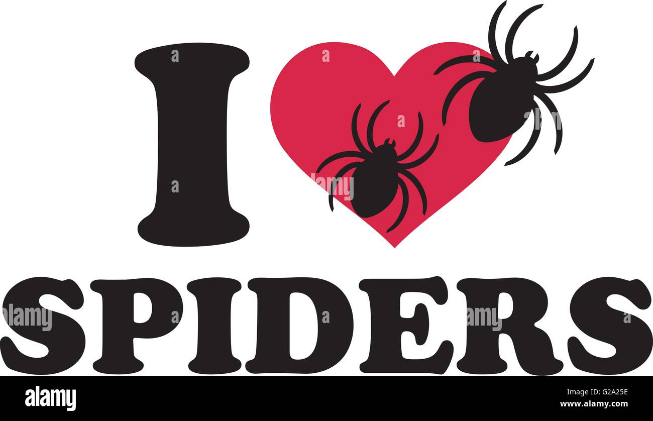 Spider i spiders web Stock Vector Images - Alamy