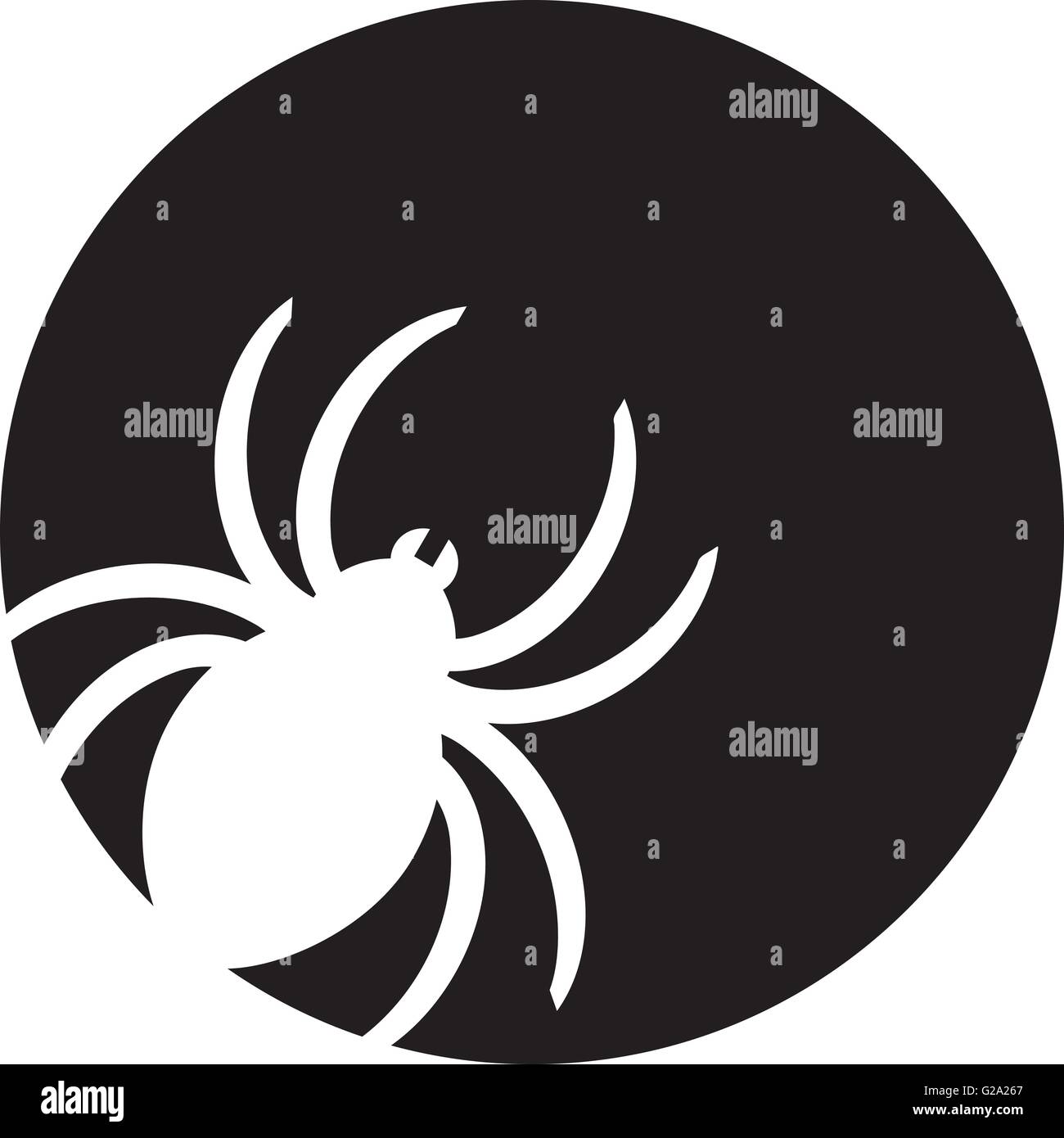Spider silhouette stamped out of a circle Stock Vector Image & Art - Alamy