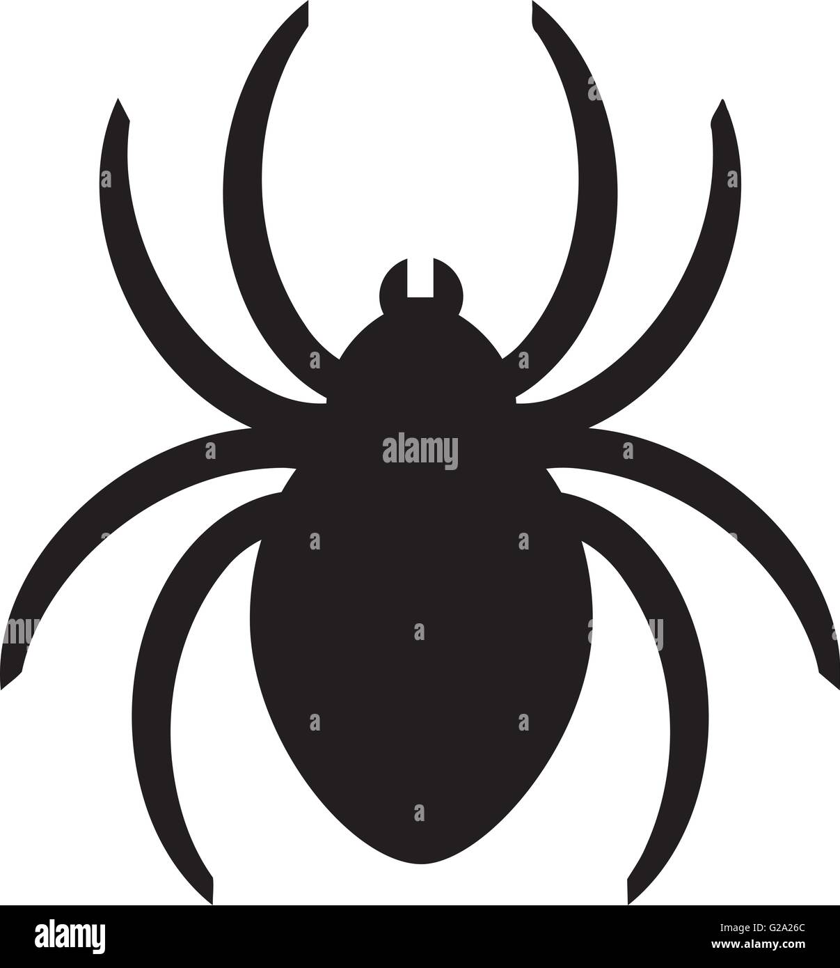 Fat spider hi-res stock photography and images - Alamy