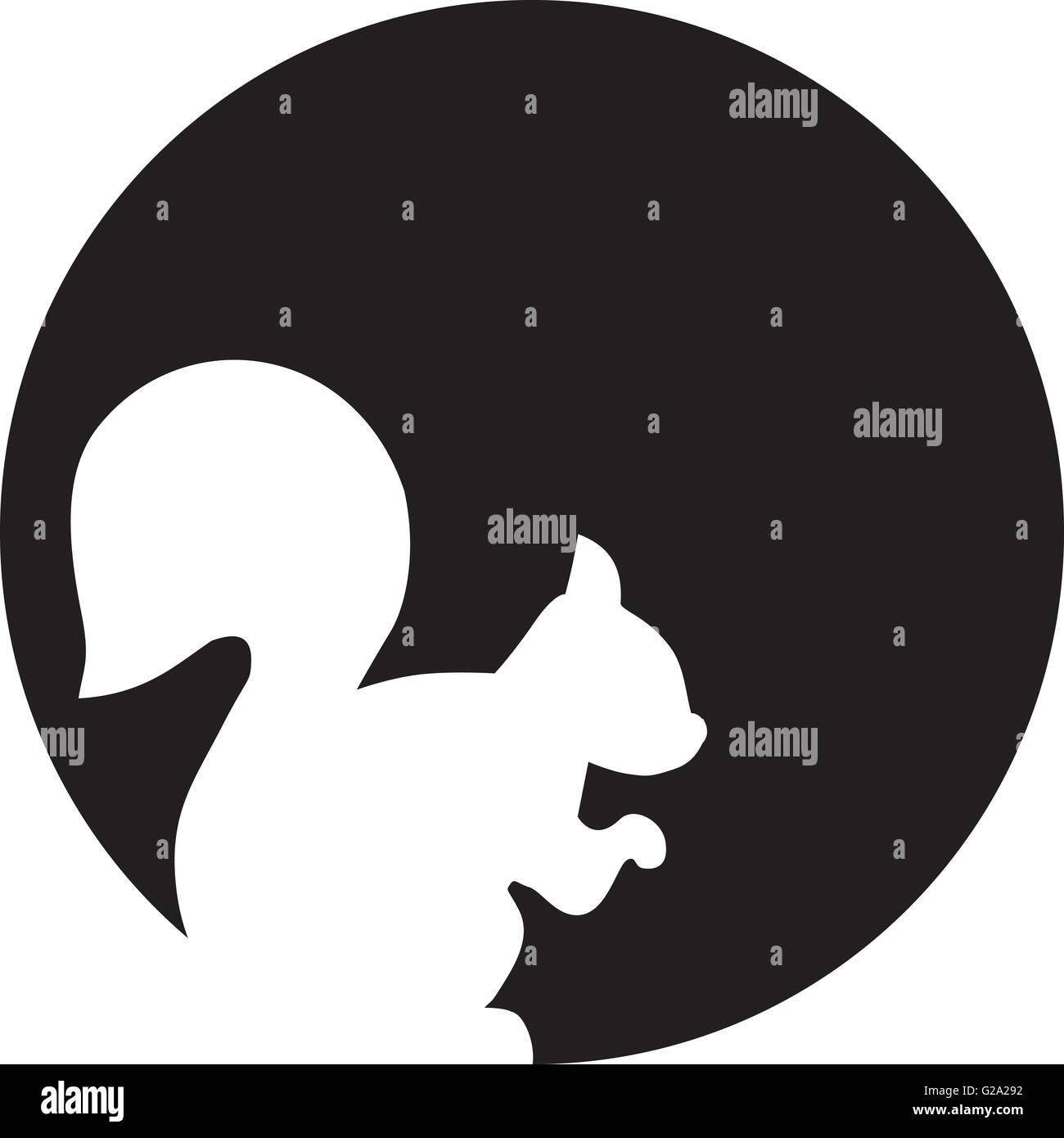 Front of tail Stock Vector Images - Alamy