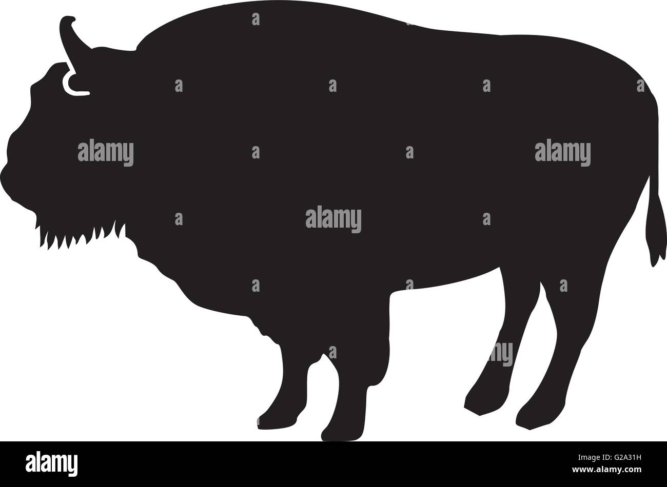 Bison Silhouette High Resolution Stock Photography and Images - Alamy