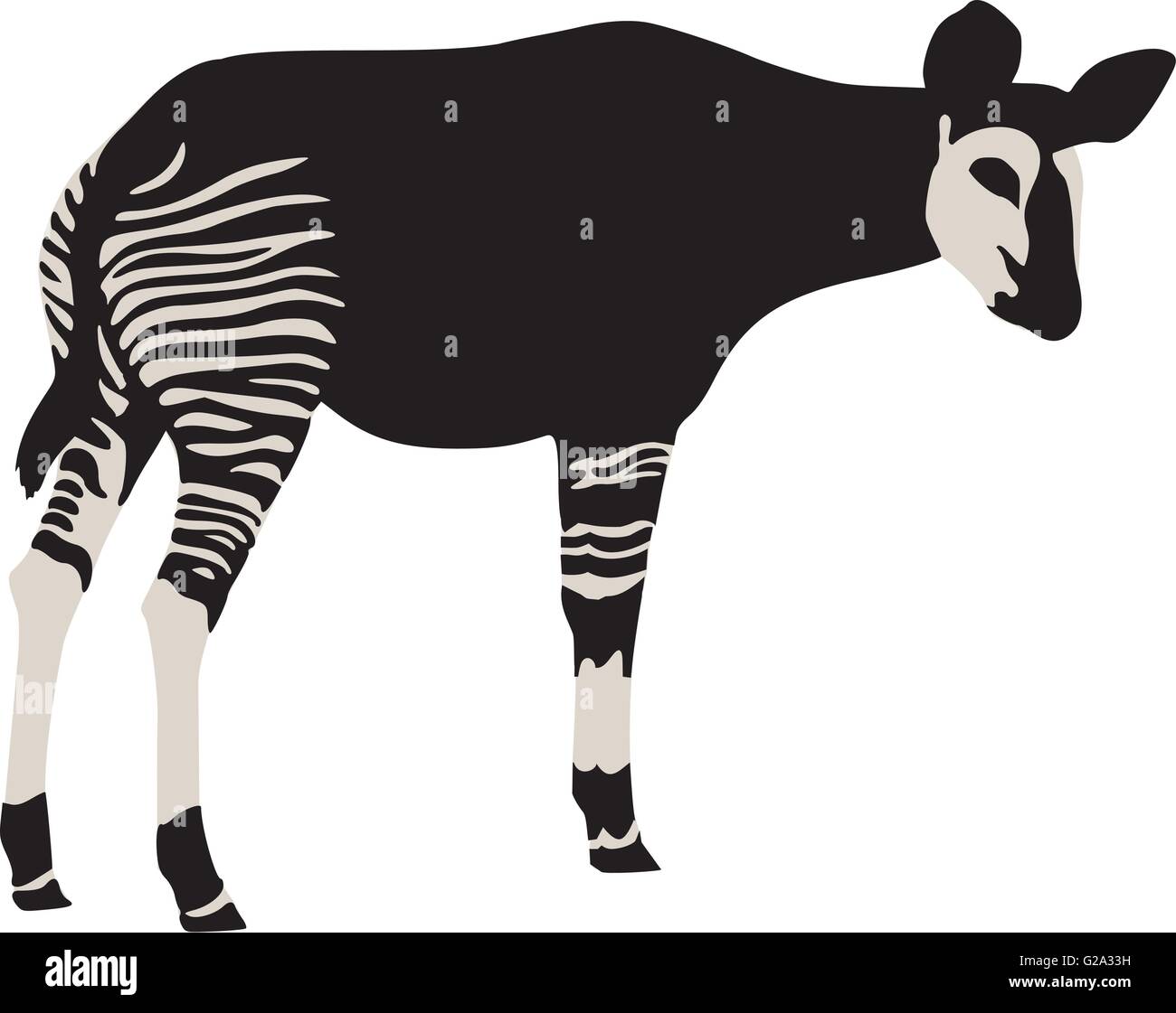 Illustration okapi Stock Vector Images - Alamy