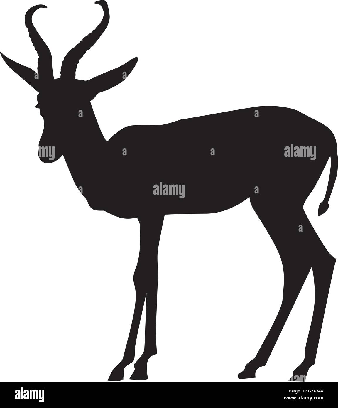 Springbok vector vectors hi-res stock photography and images - Alamy