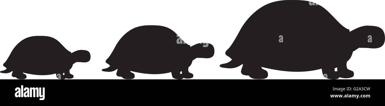 Turtle tortoise family Stock Vector Images - Alamy