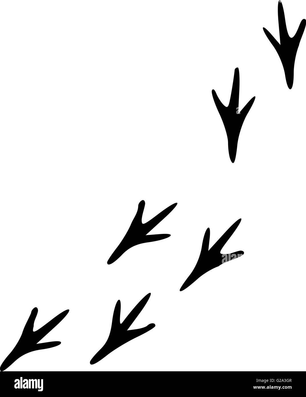 Animal bird footprints Black and White Stock Photos & Images - Alamy