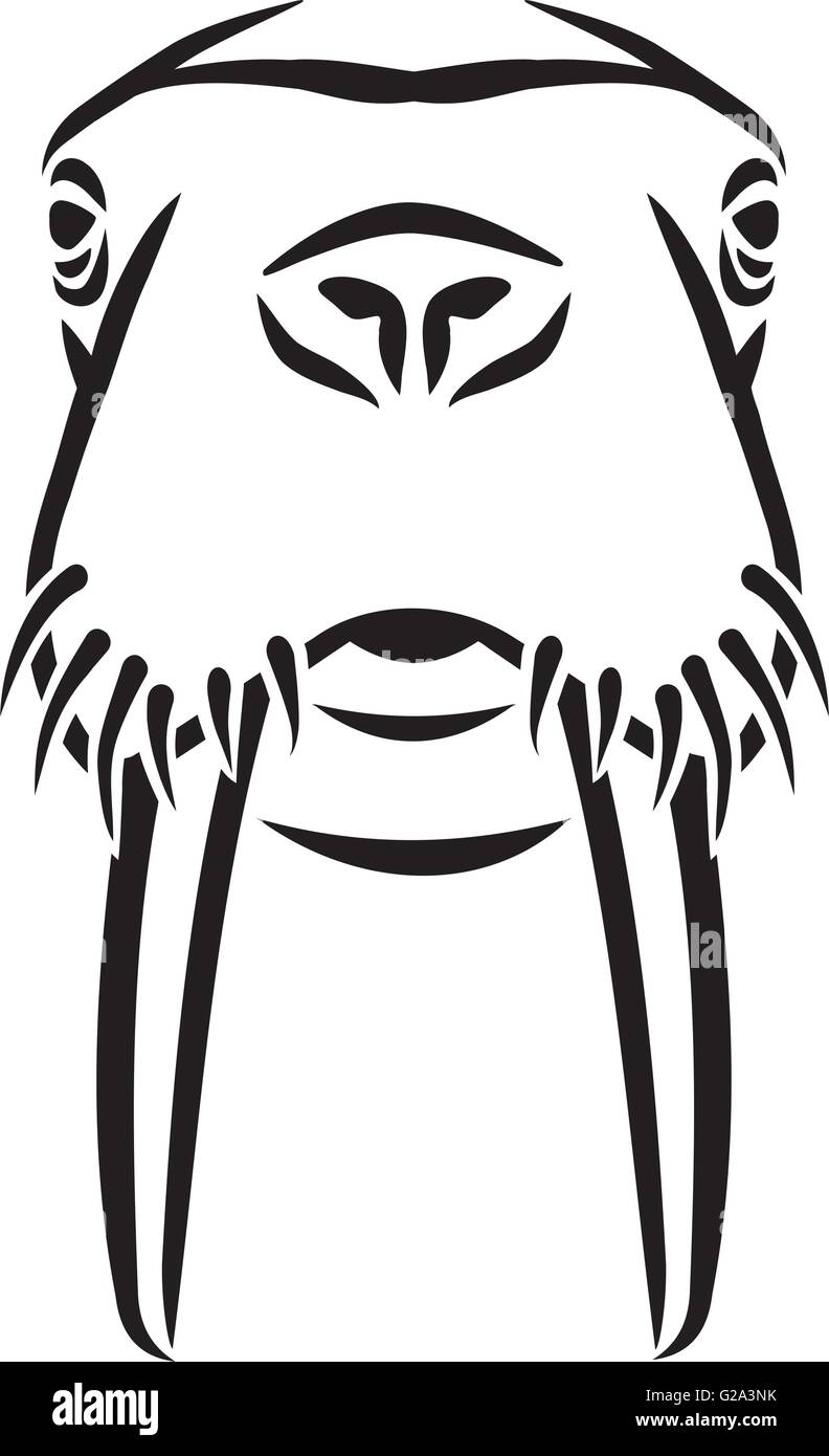 Walrus teeth Stock Vector Images - Alamy