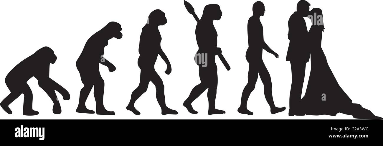 Bride and groom evolution Stock Vector Image & Art - Alamy