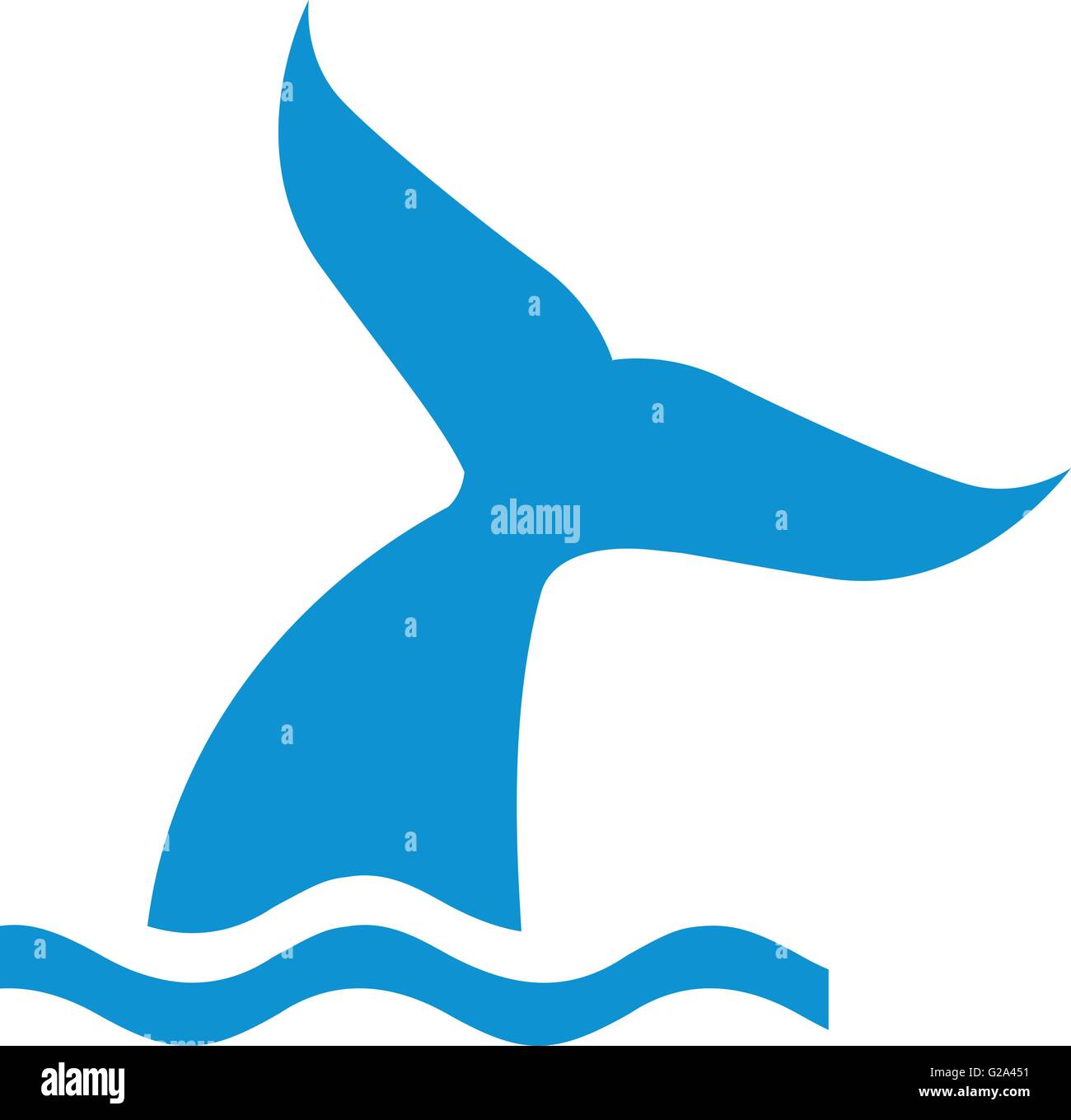 Fin whale Stock Vector Images - Alamy