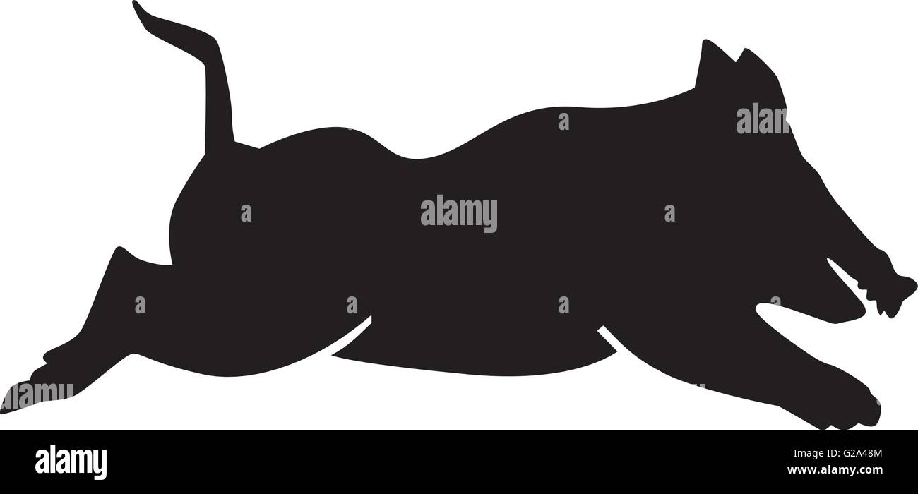 Running wild pig Stock Vector Image & Art - Alamy