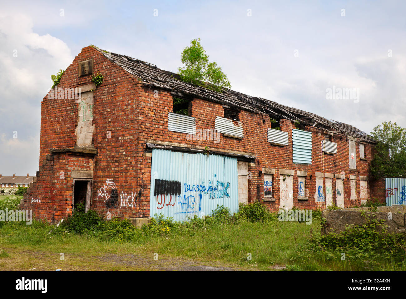 Deserted, unsafe, overgrown 1803 Yew Tree red brick Farm House ...