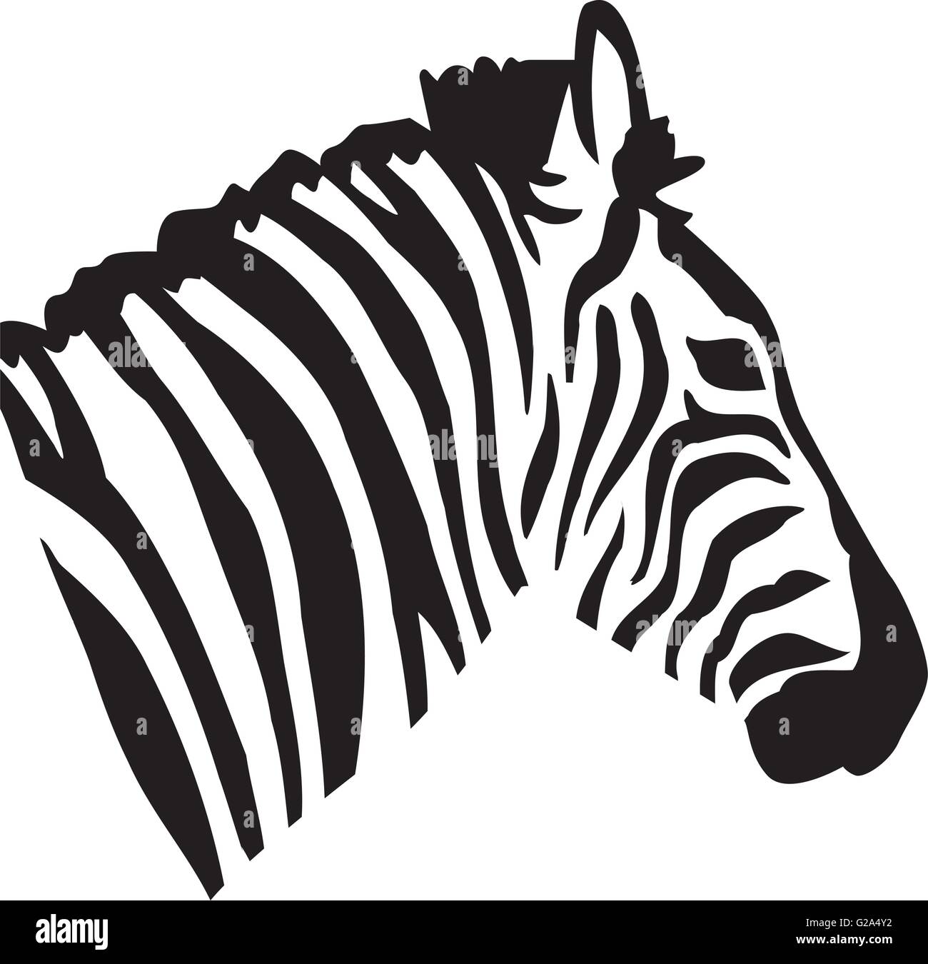 Zebra Head Side View