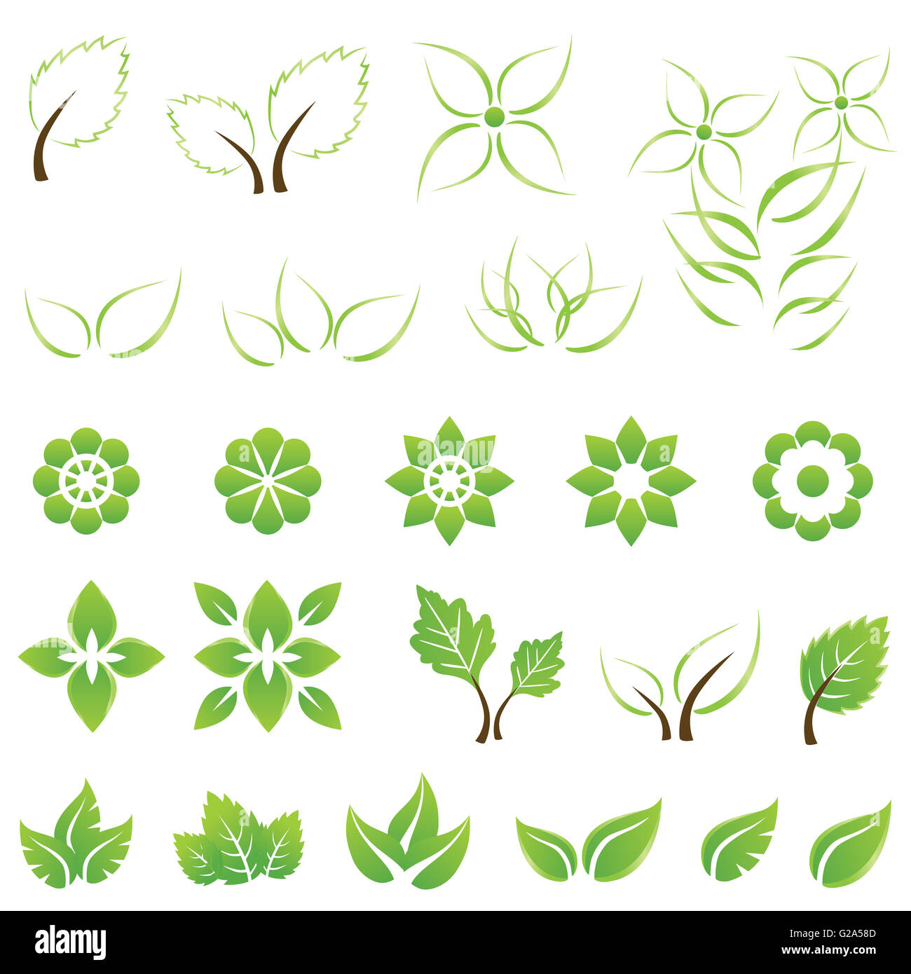 Set of green leaf and flower design elements. This image is a vector ...