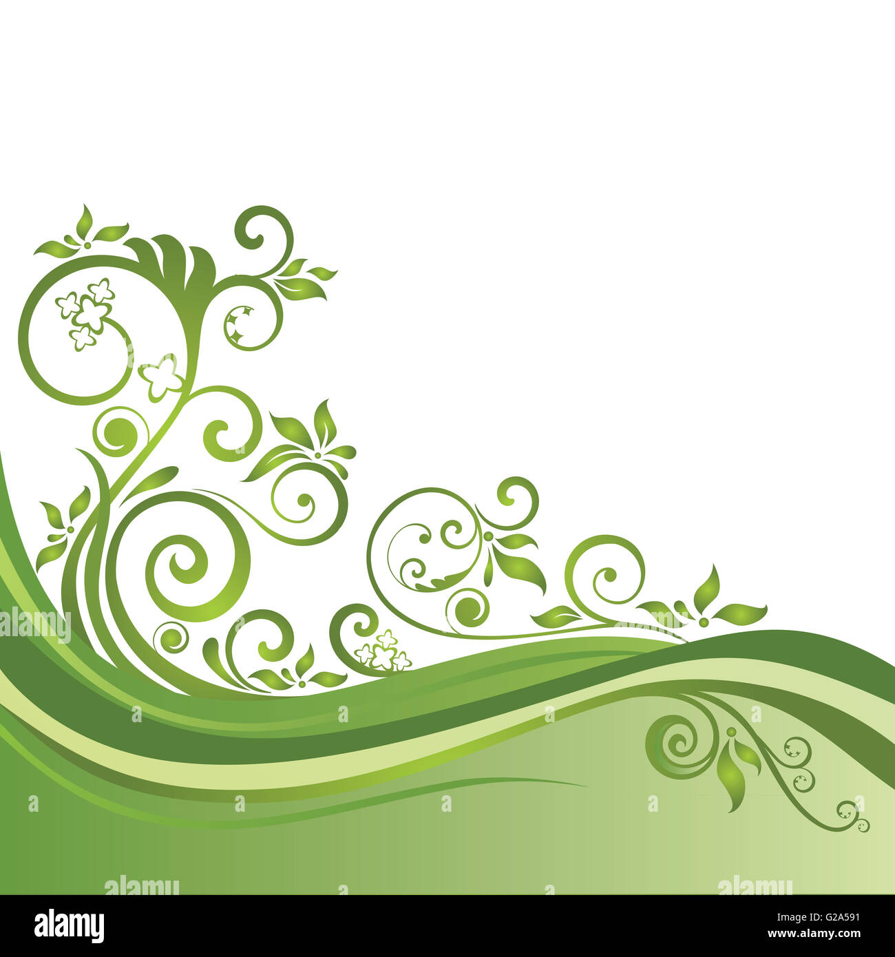 Green floral banner isolated on white. This image is a vector ...