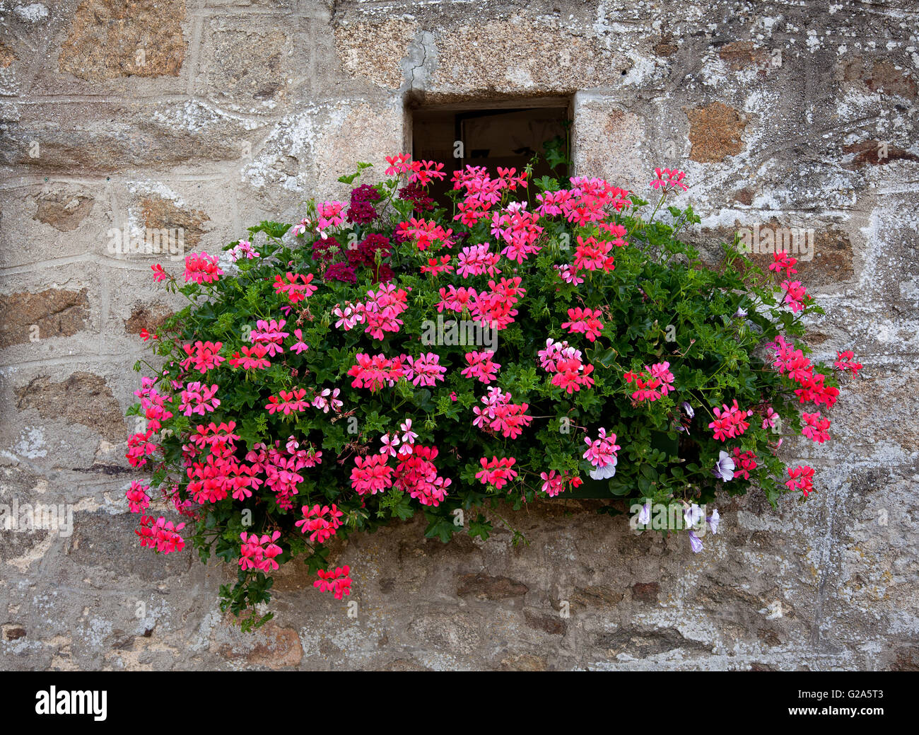 Old antique Window in France with Flower Decoration Stock Photo - Alamy