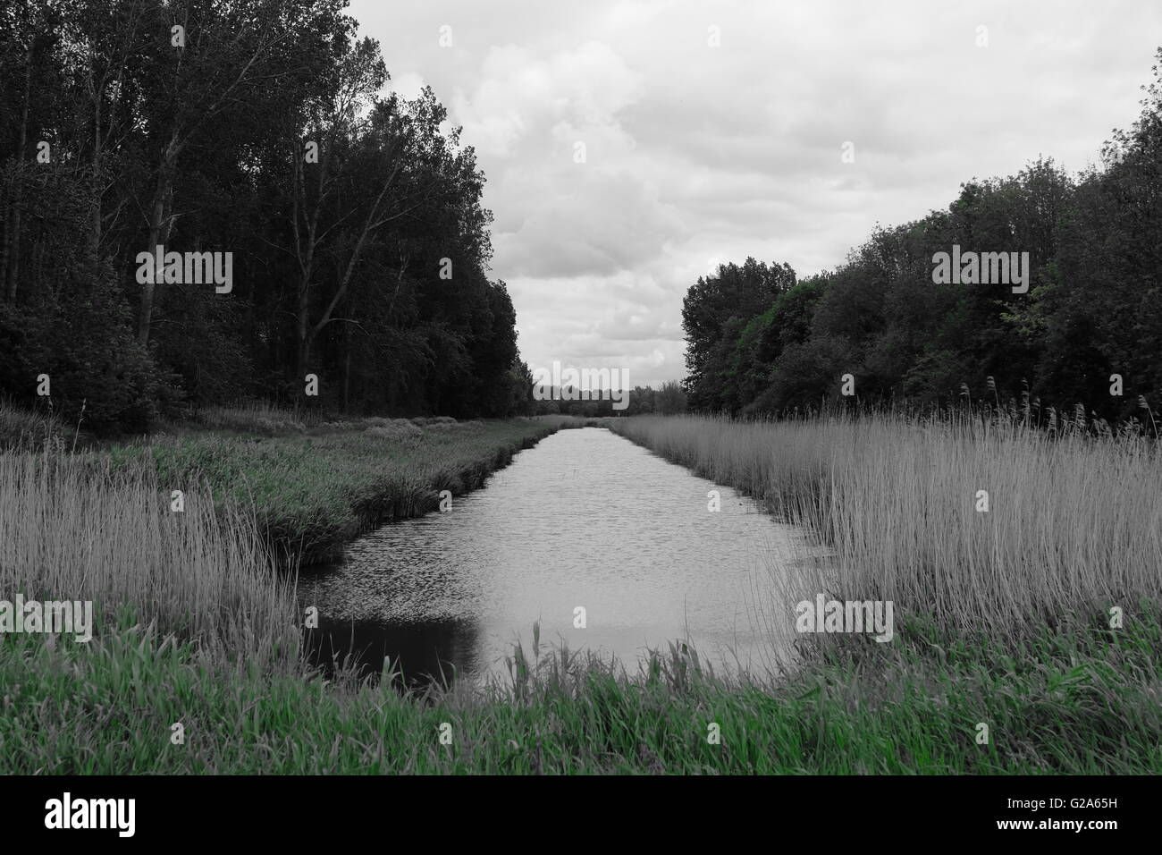 Lakefront lakeshore lakeshores hi-res stock photography and images - Alamy