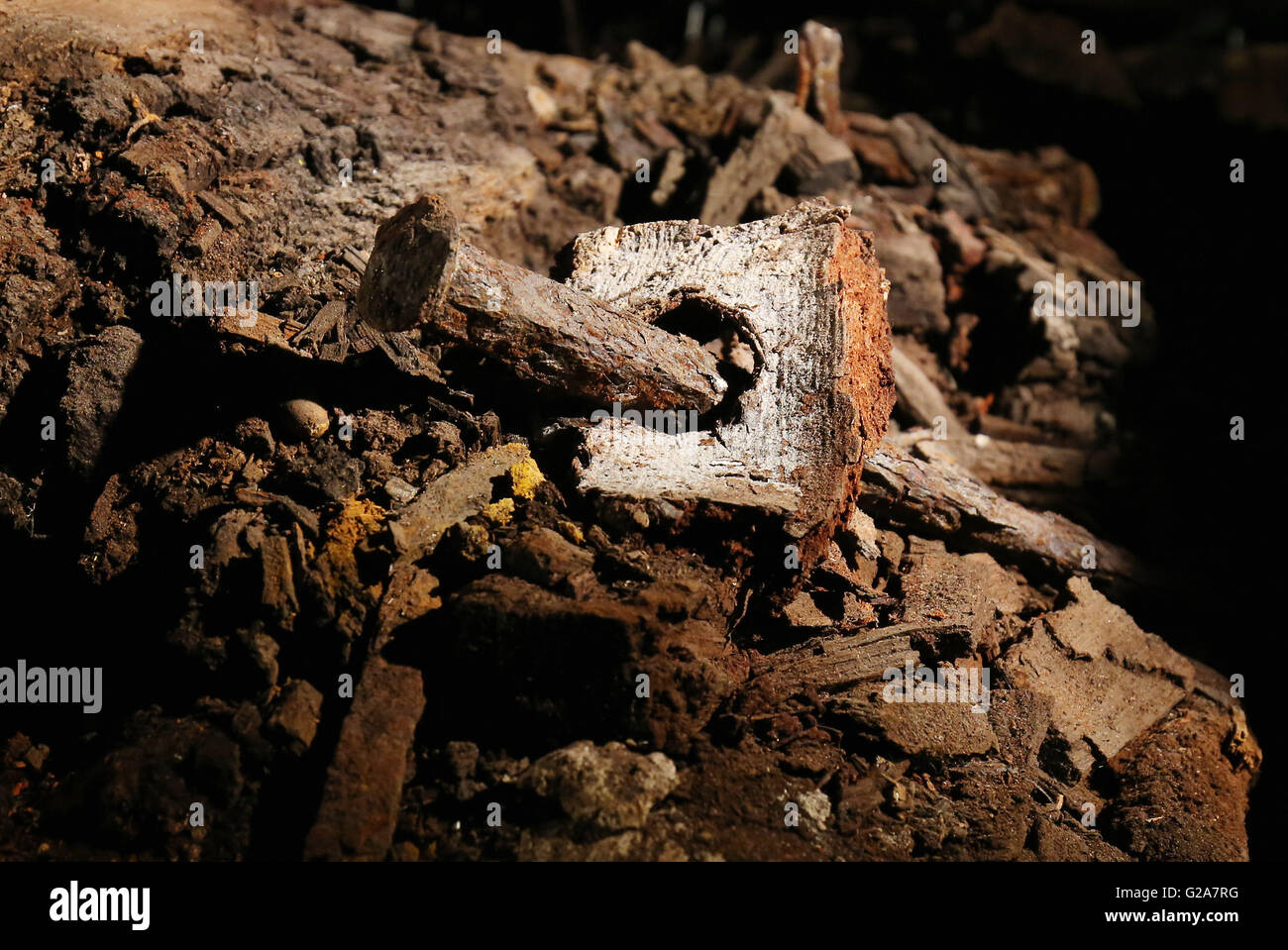 A view of the fixings on the skeleton timbers of HMS Namur, the world's ...