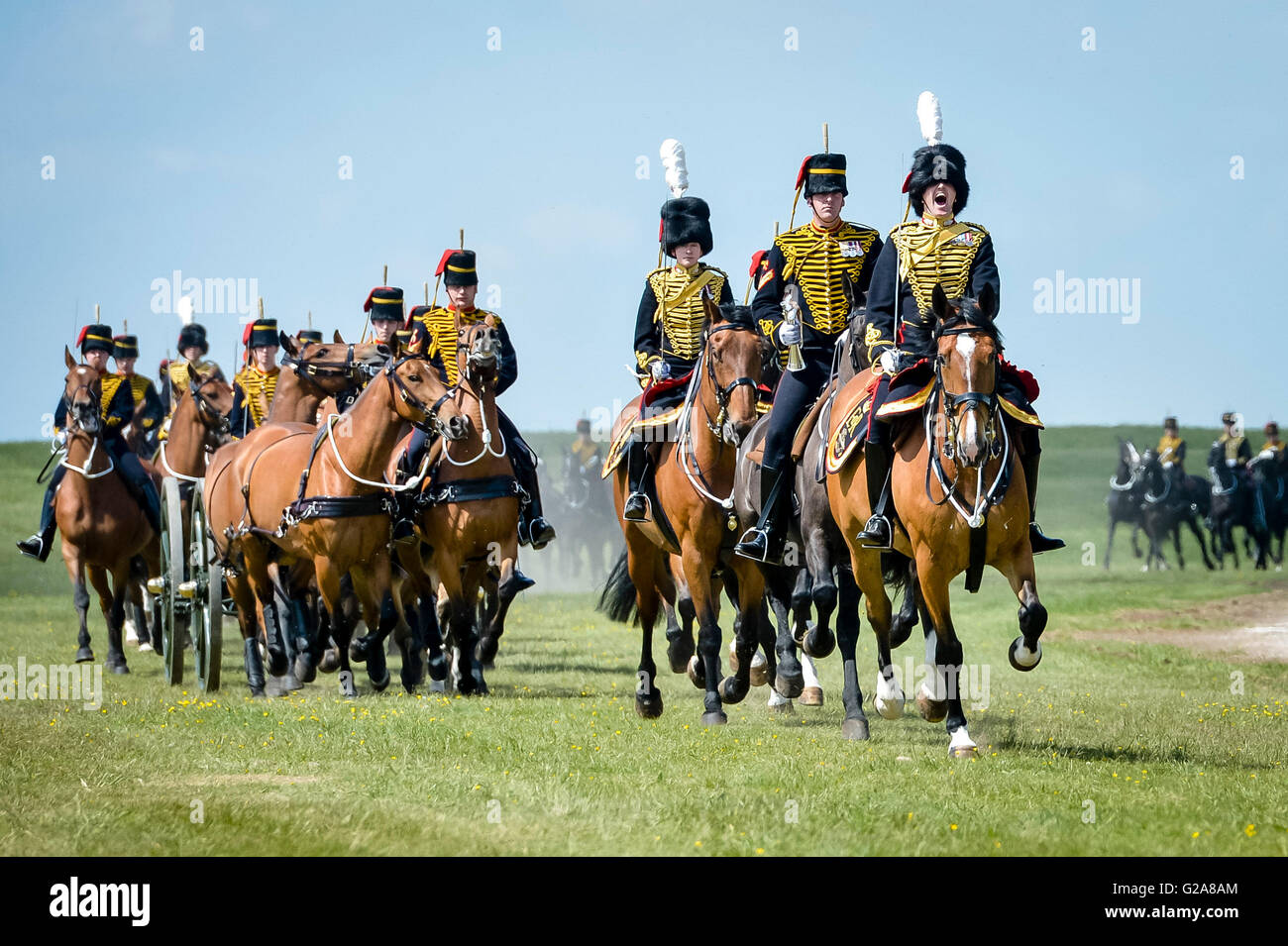 Mounted soldiers from The King's Troop Royal Horse Artillery ride past ...