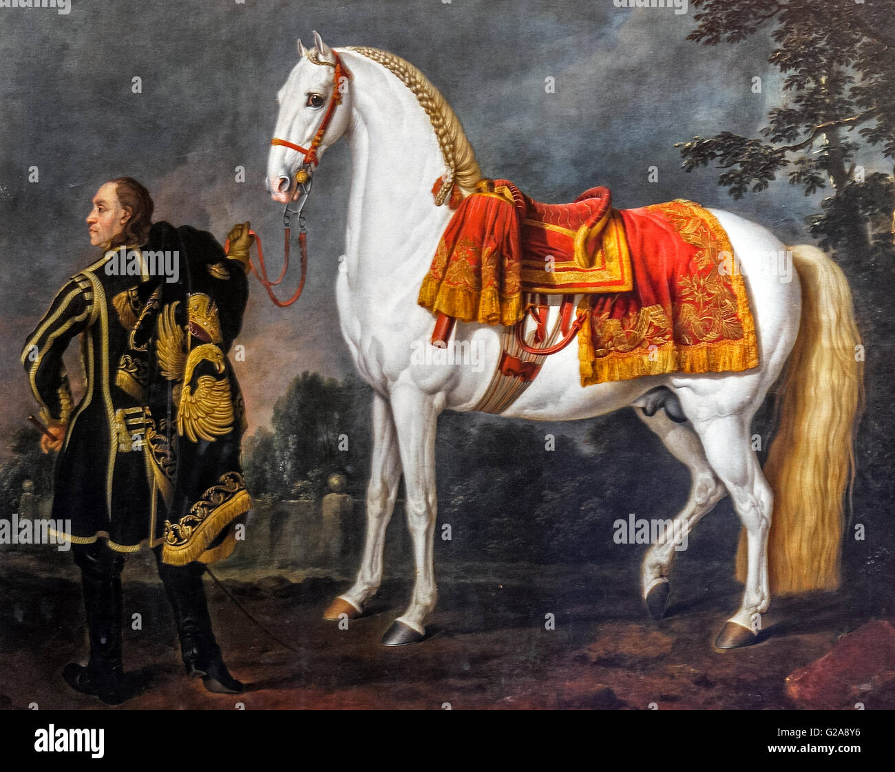 Lipizzan Horse High Resolution Stock Photography and Images - Alamy