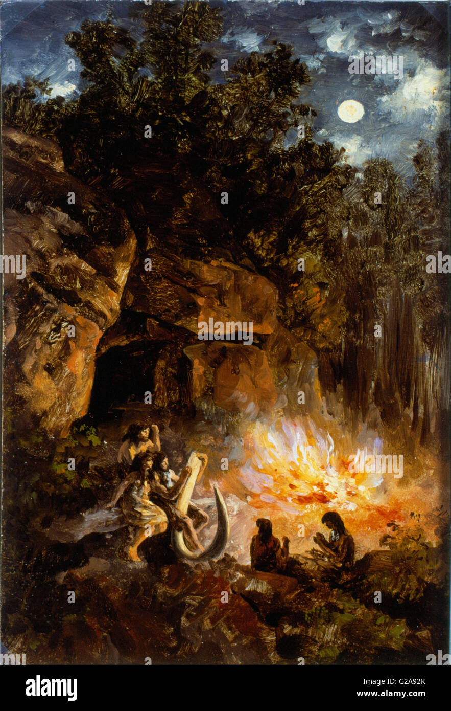 Quaternary Period Images Palaeozoology Quaternary Period Fossil