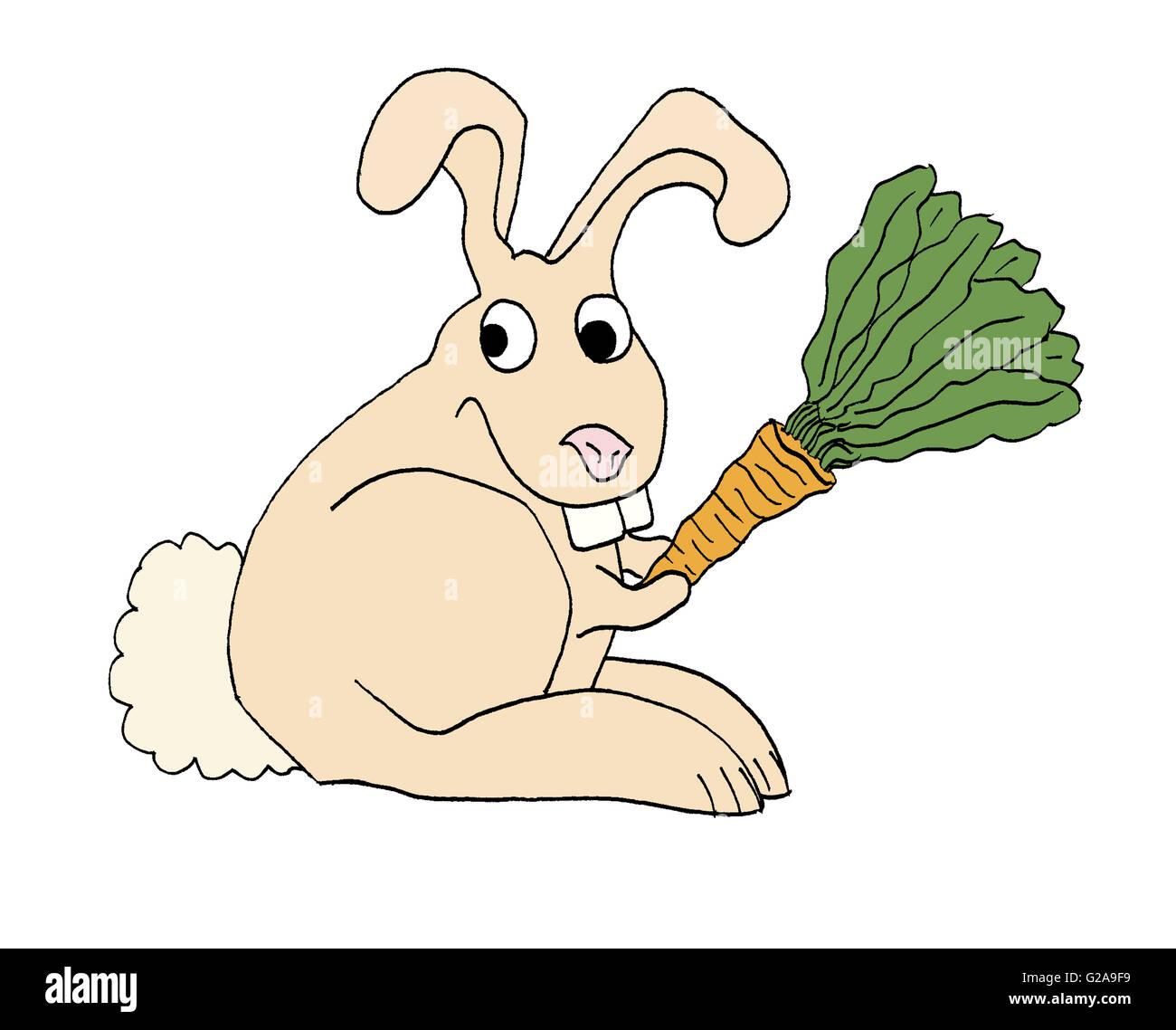 Bunny with Carrot Stock Photo - Alamy