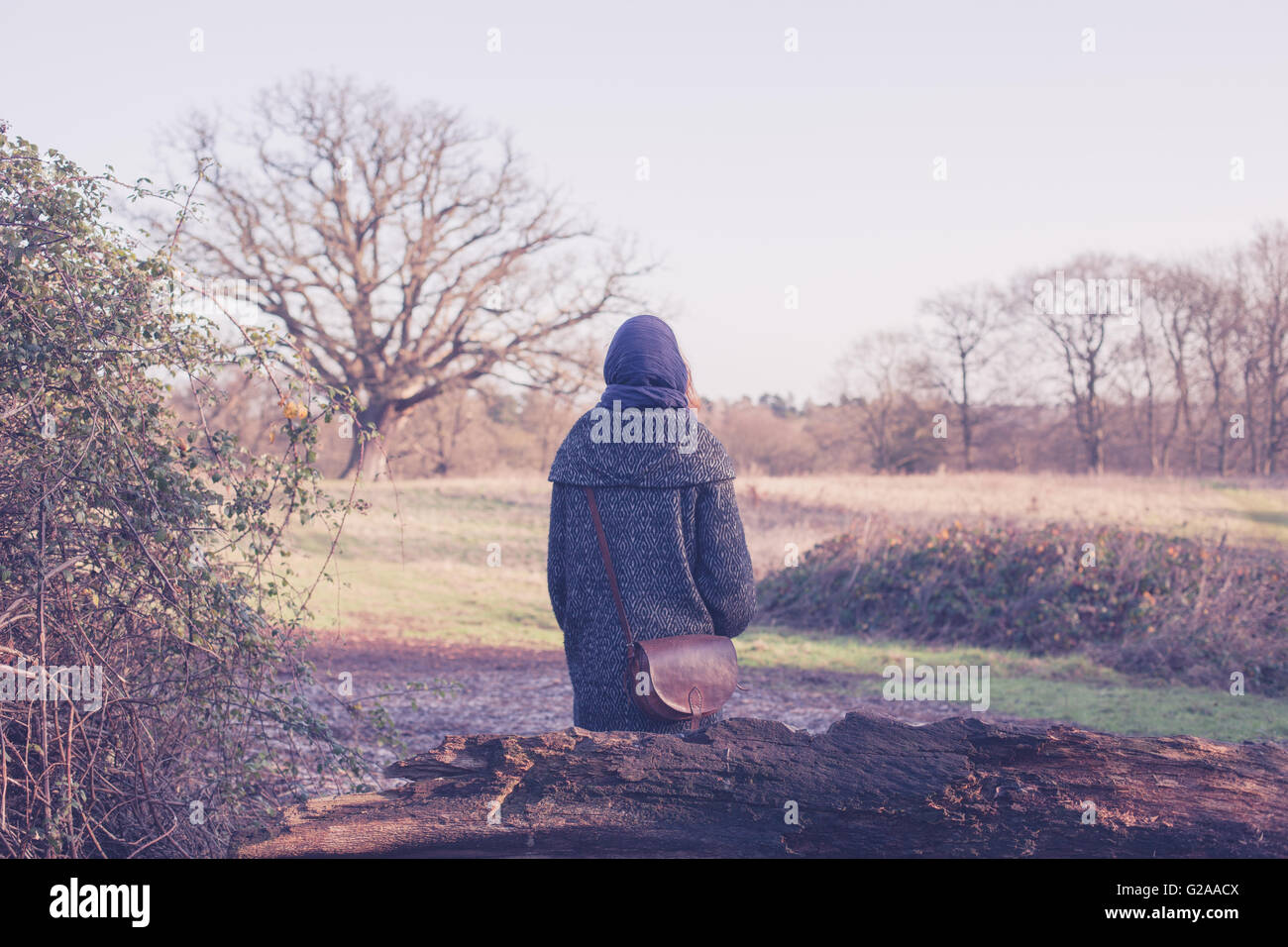 Rear view of a person resting in a rural landscape Stock Photo - Alamy