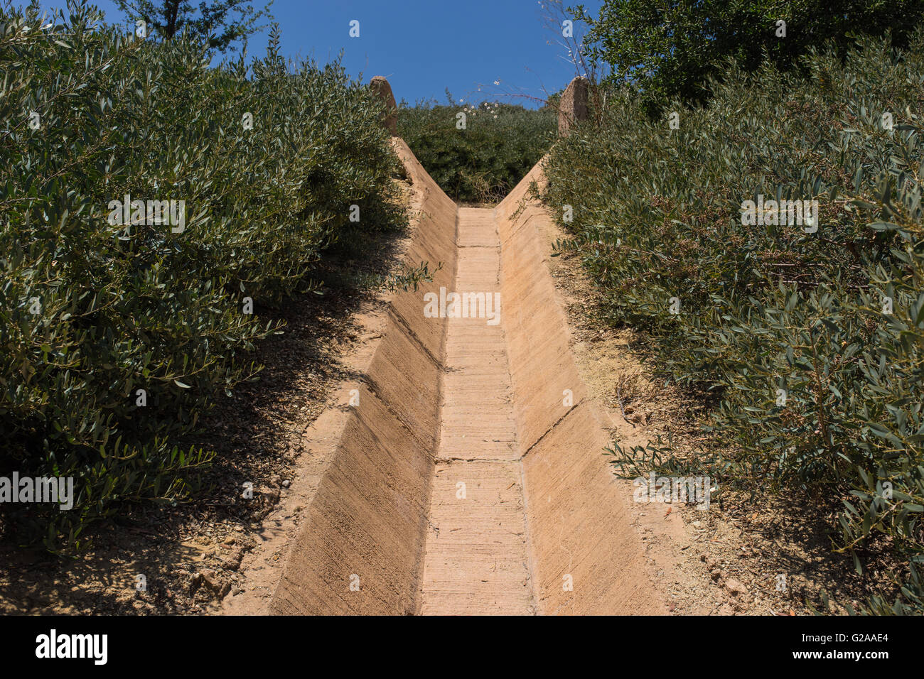 Drainage ditch through plants on a hillside in southern California ...
