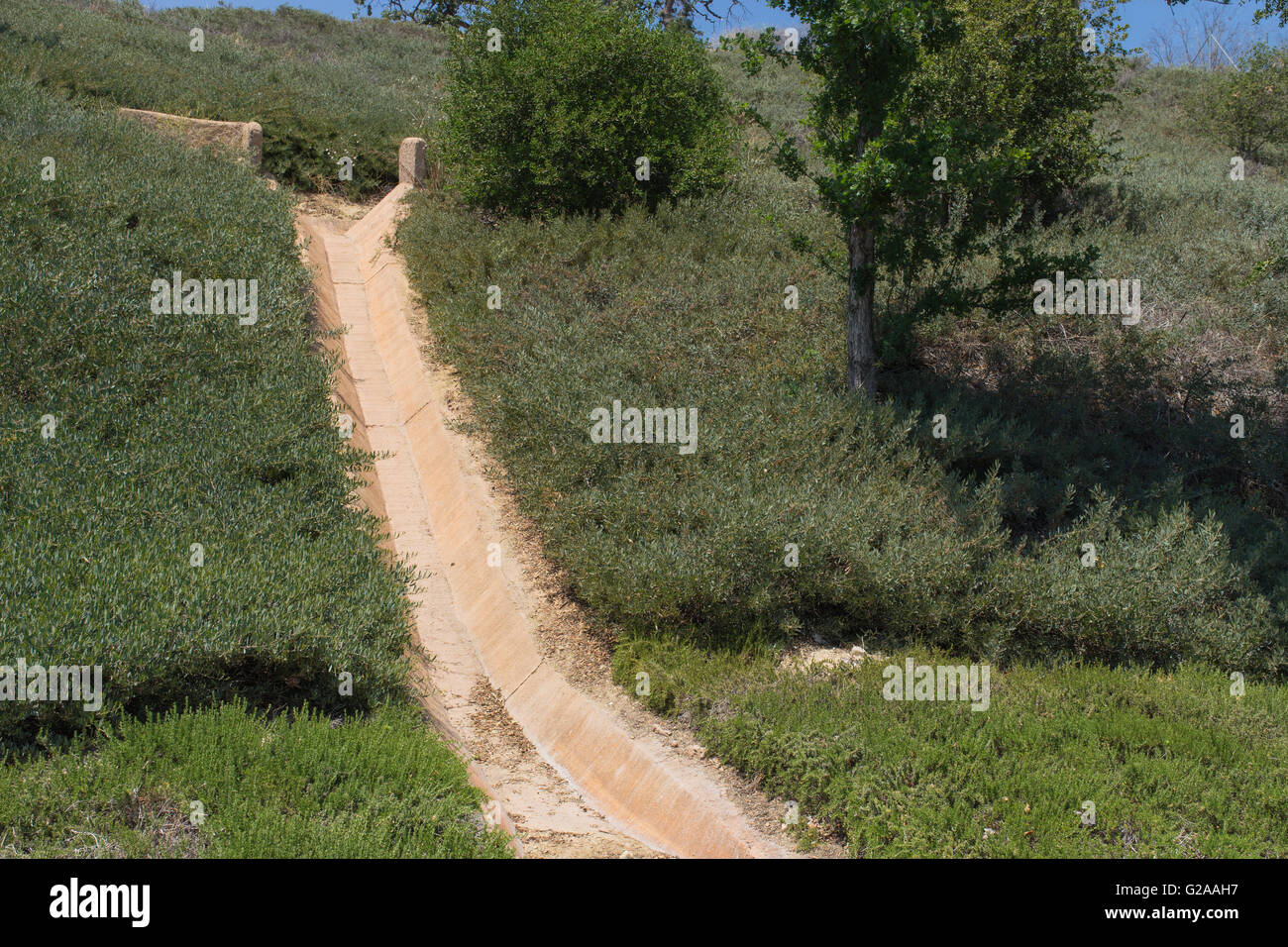Cement drainage ditch runs through hillside of planted California ...