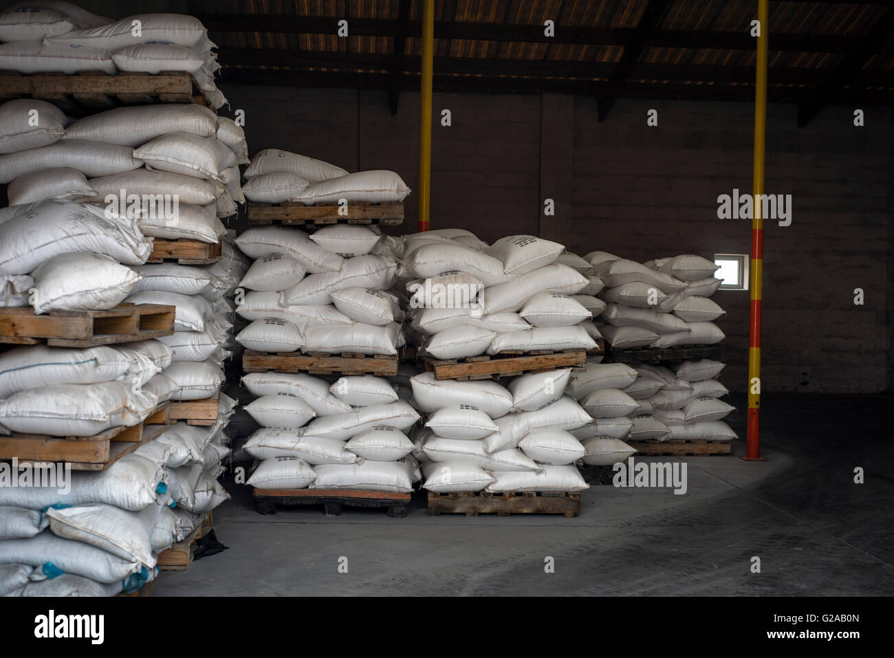 The working process at a salt factory near Swakopmund, Namibia ...