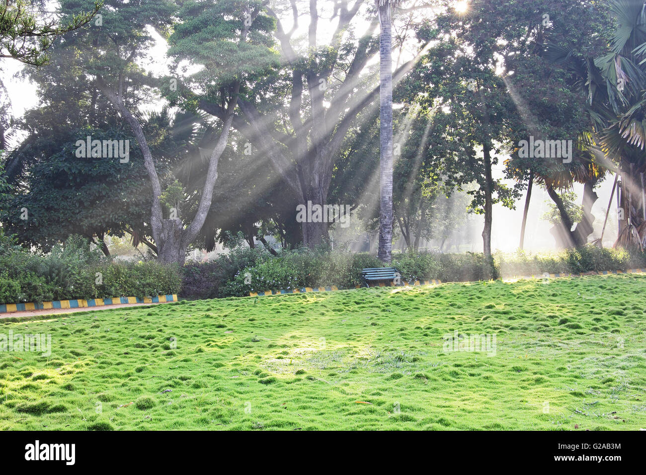 Beautiful morning sun rays hi-res stock photography and images - Alamy