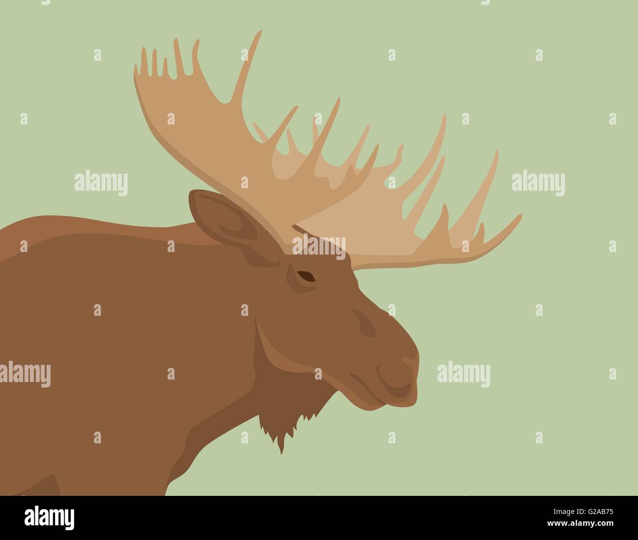 Moose head front Stock Vector Images - Alamy
